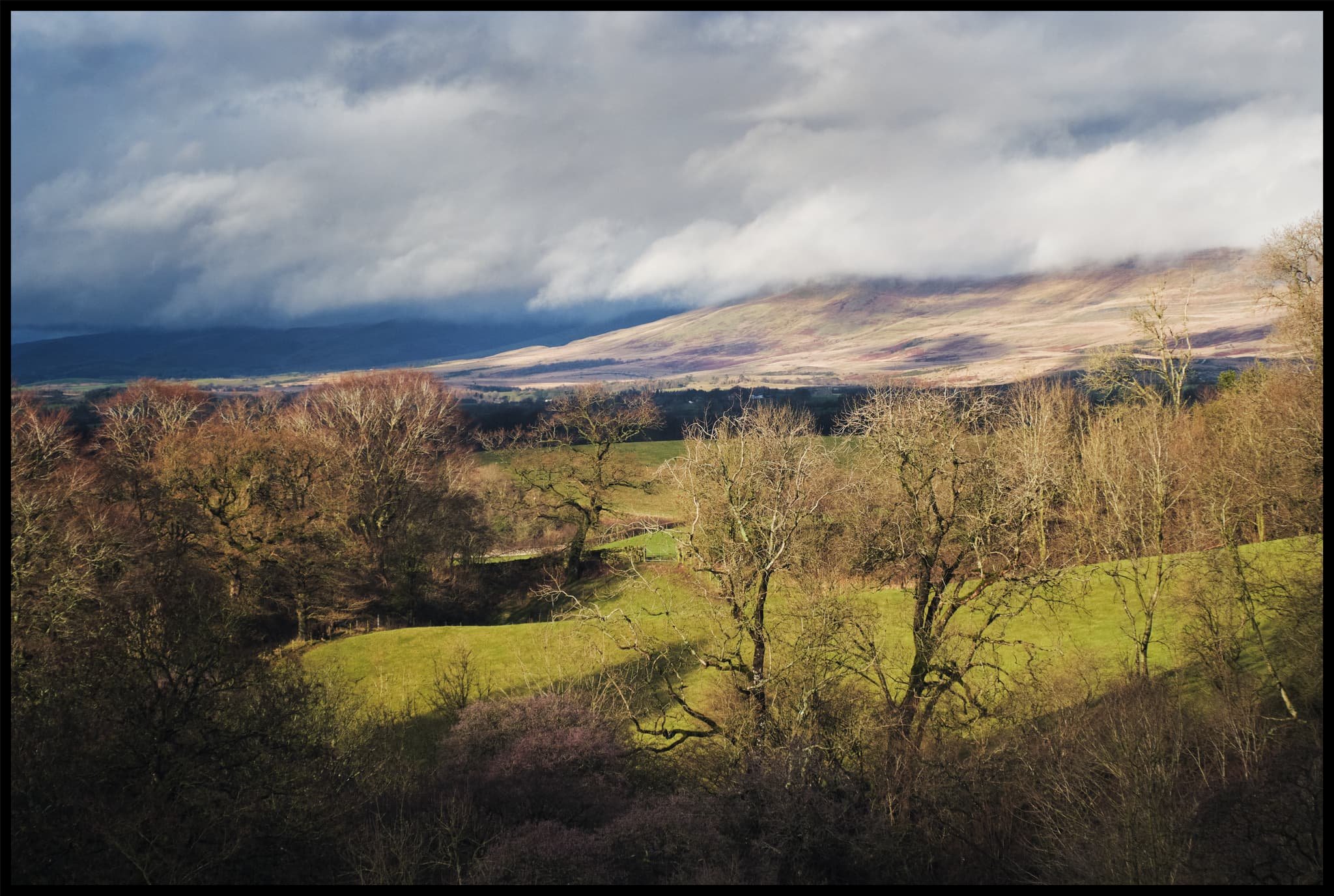 Stenkrith Park, Cumbria, Winter — Ian Cylkowski Photography. Photography
