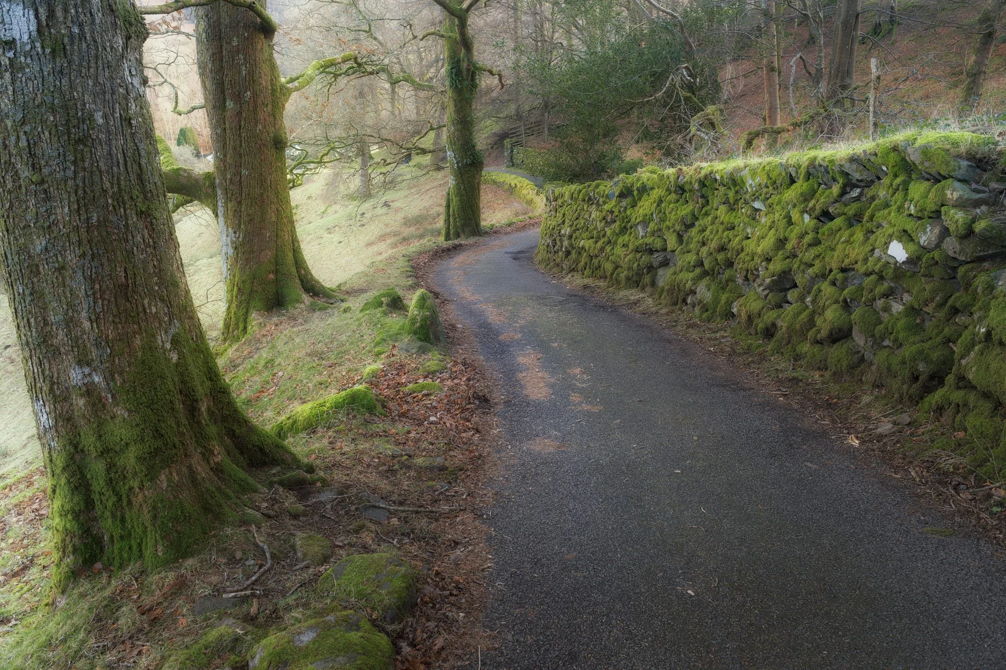 Grasmere, Lake District, Winter — Ian Cylkowski Photography. Photography