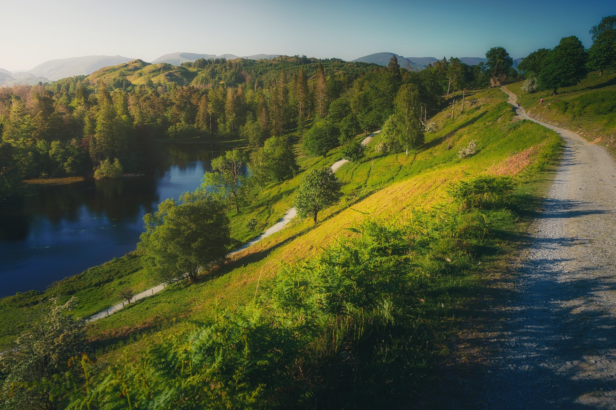 Tarn Hows, Lake District, Summer — Ian Cylkowski Photography. Photography