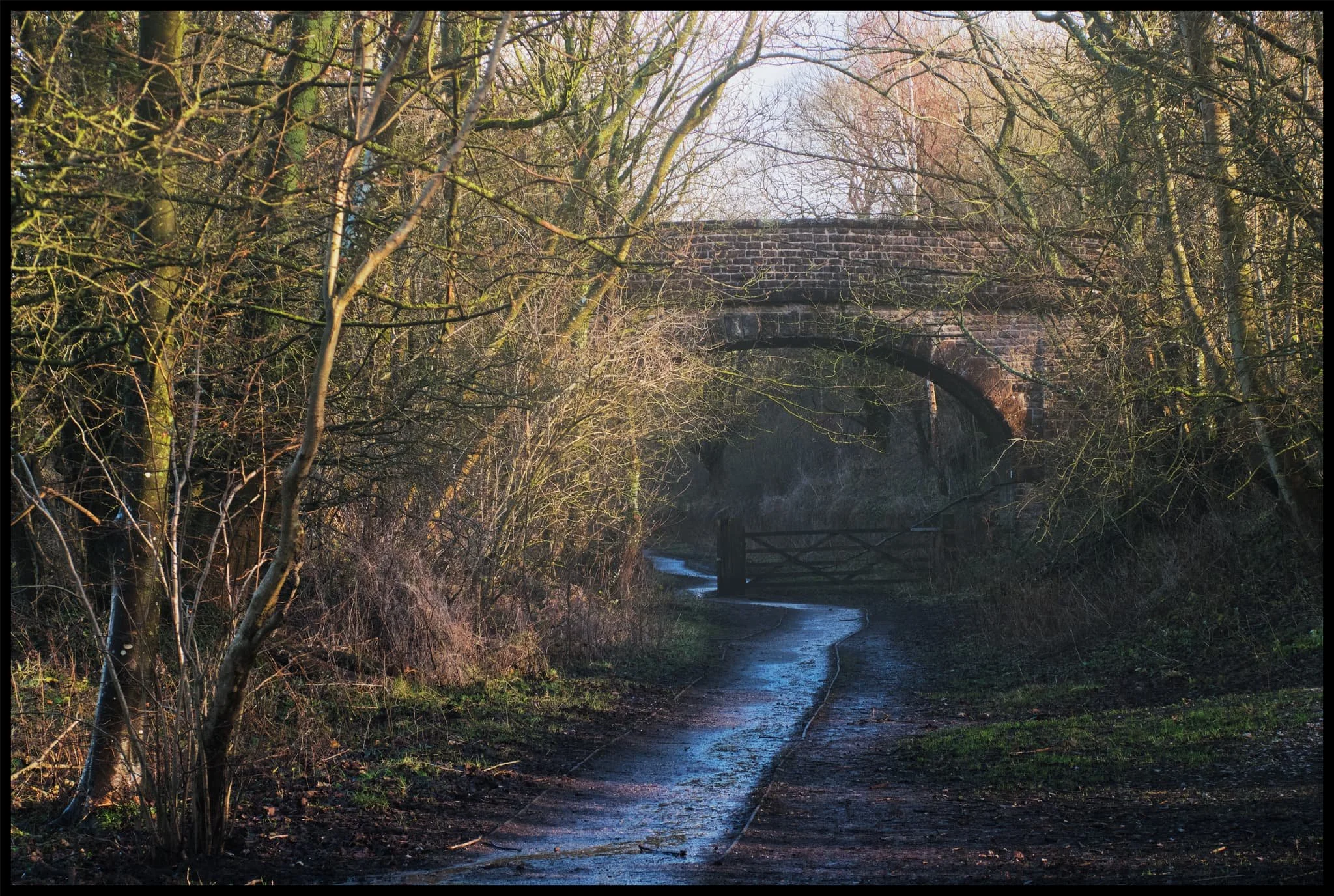 Stenkrith Park, Cumbria, Winter — Ian Cylkowski Photography. Photography