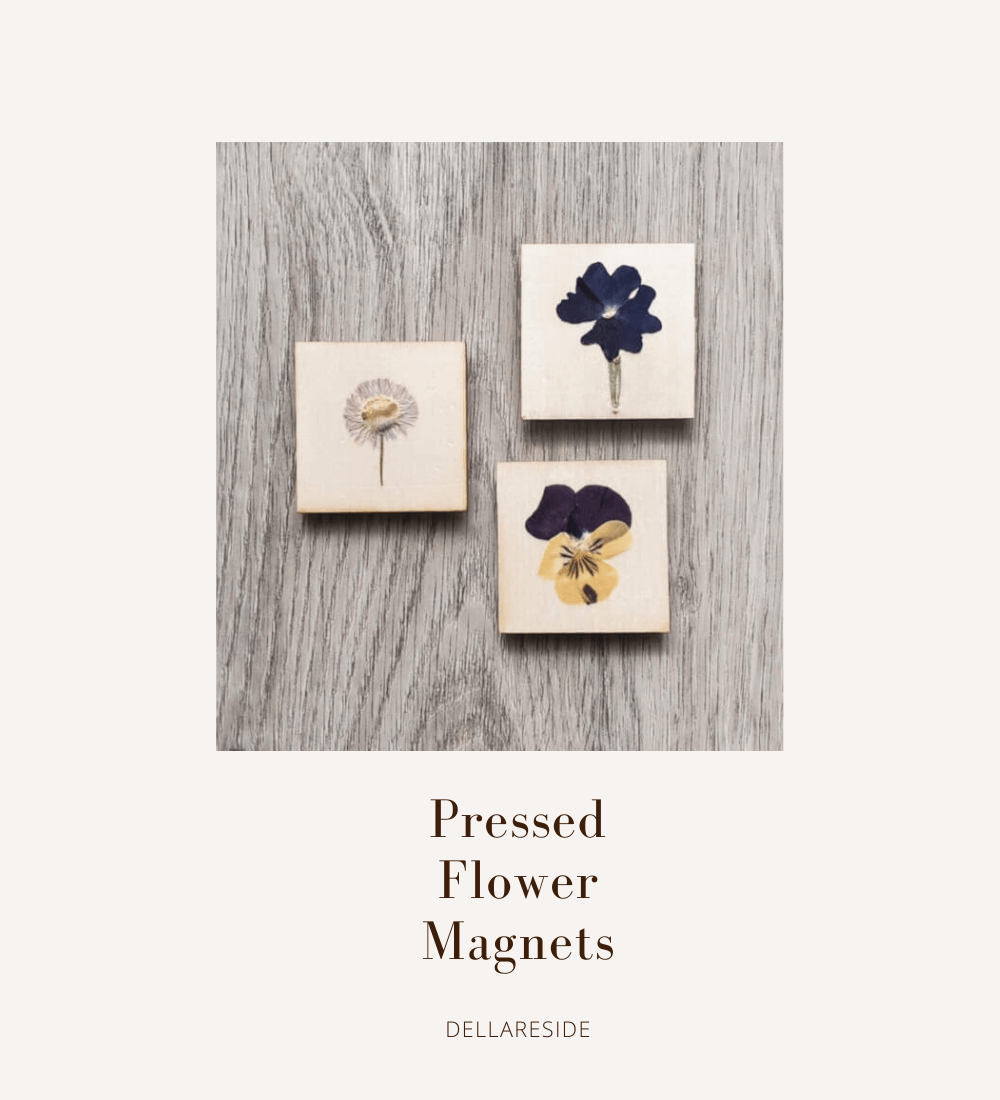 Pressed Flower Magnets — Della Reside