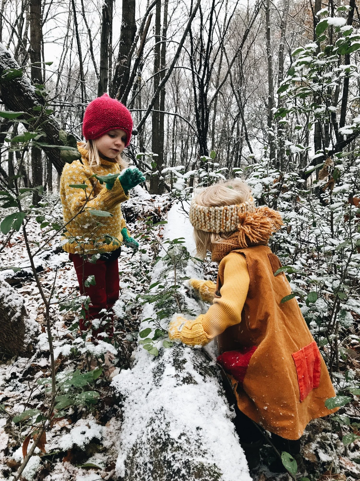 Mother | Naturer | Nurturer — Fox Meets Bear