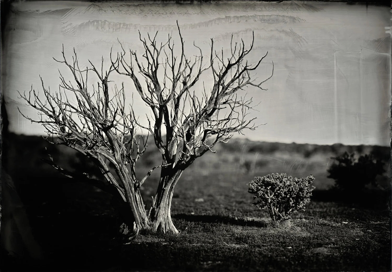 Ian RuhterIan Ruhter | Silver & Light