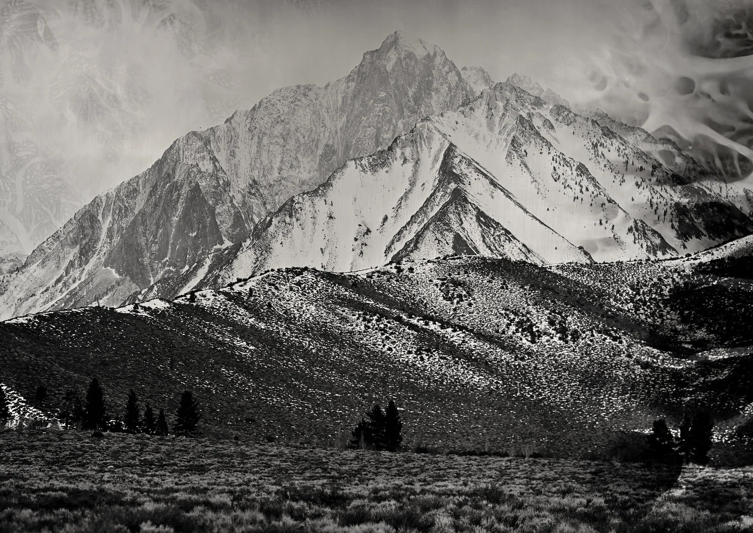 Ian RuhterIan Ruhter | Silver & Light