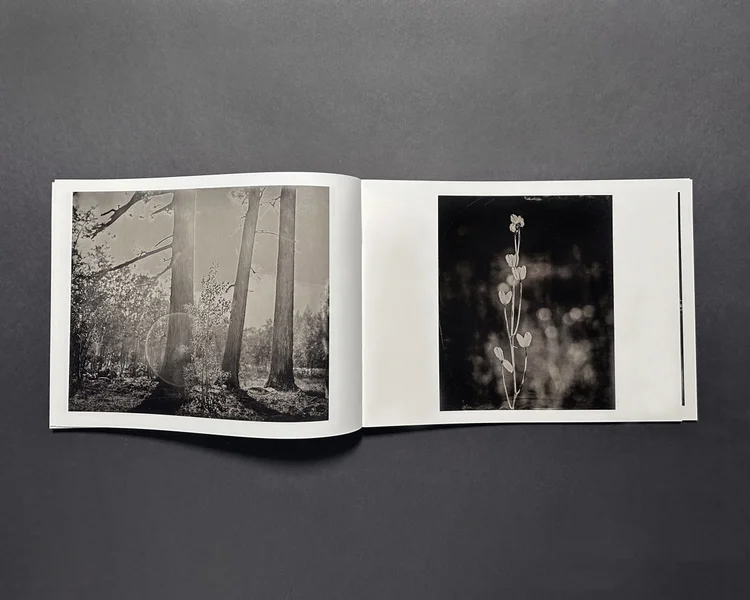 Ian Ruhter Shop Prints Prints