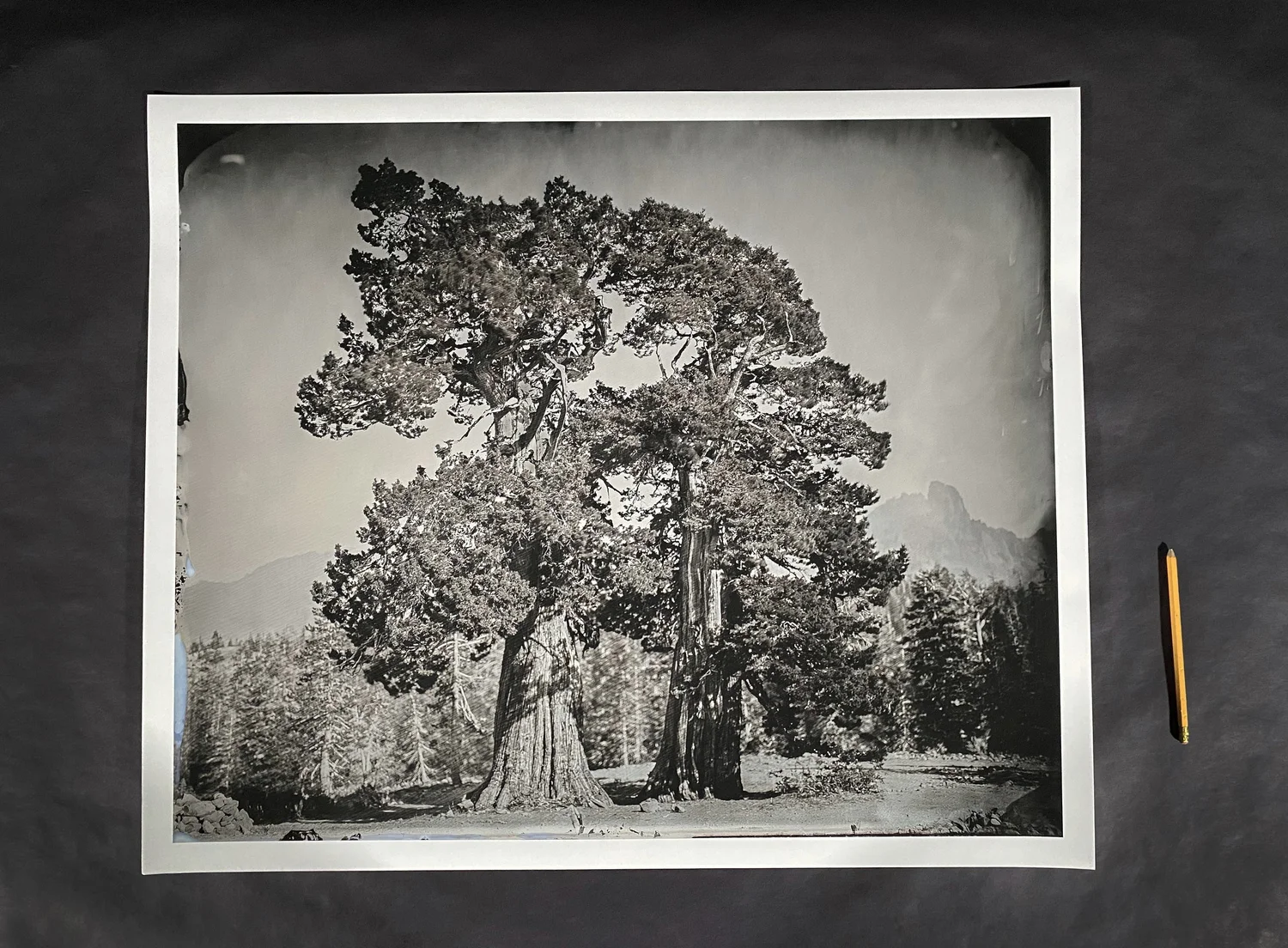 Ian Ruhter Shop Prints Prints
