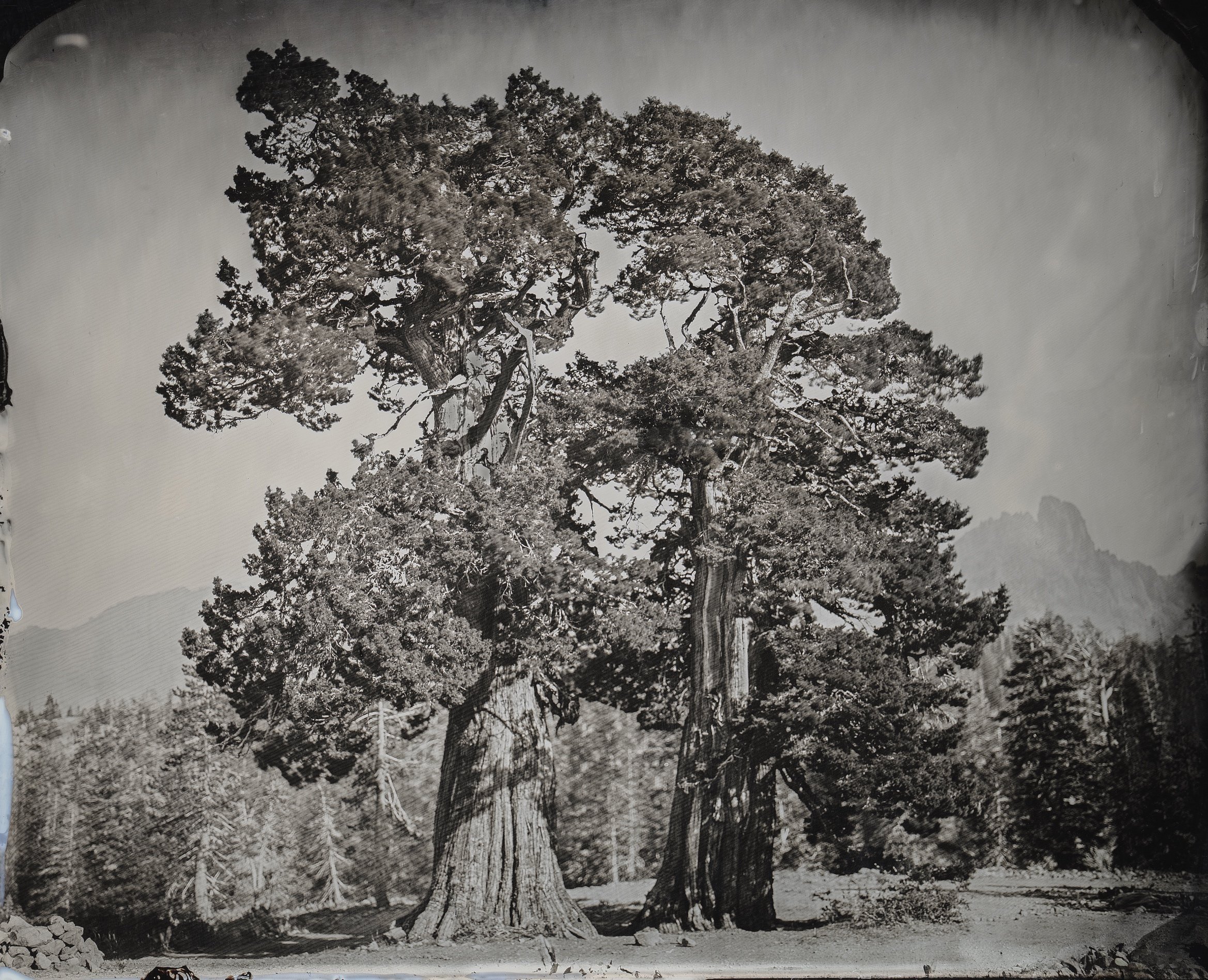 Ian Ruhter Shop Prints Prints