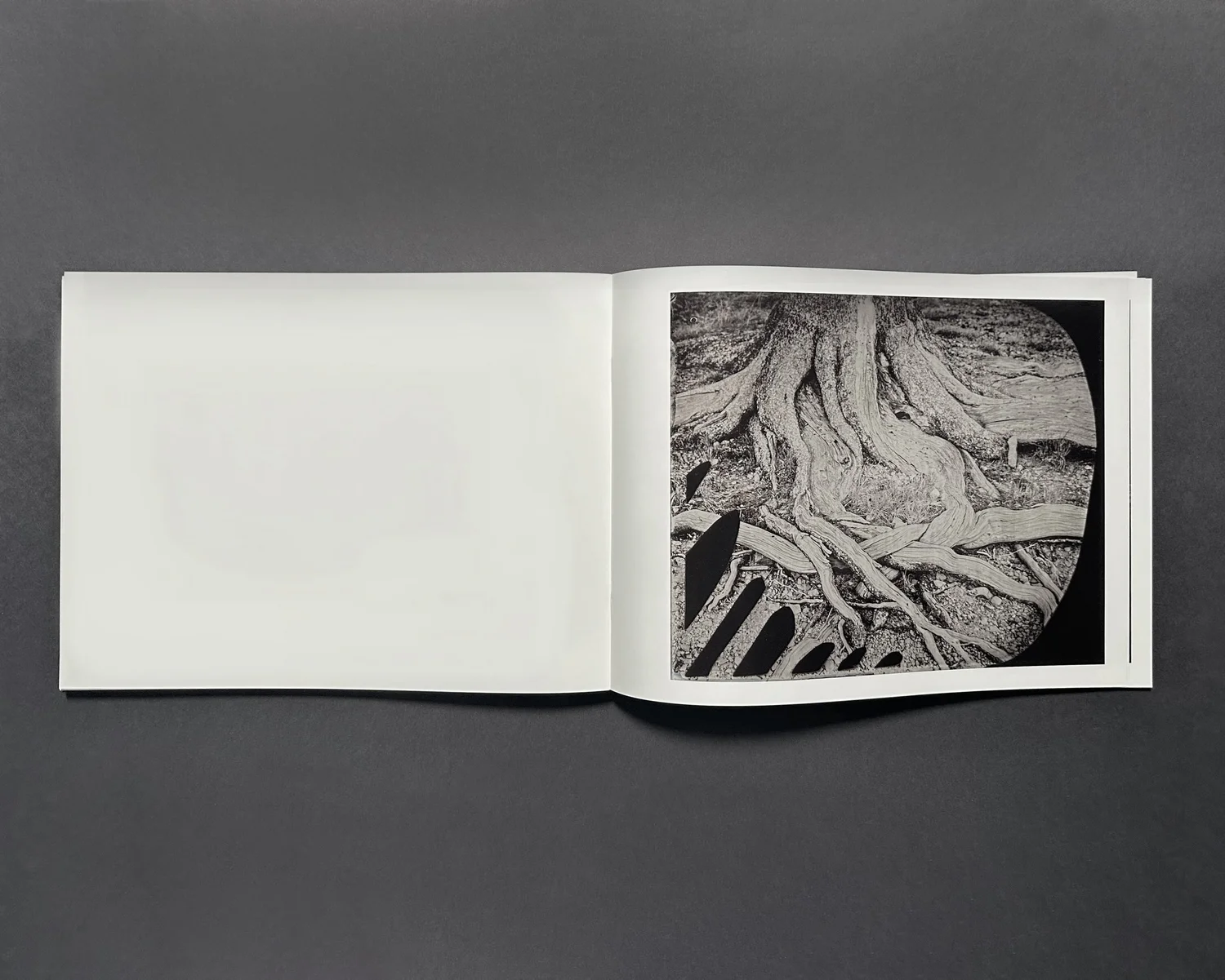 Ian Ruhter Shop Prints Prints