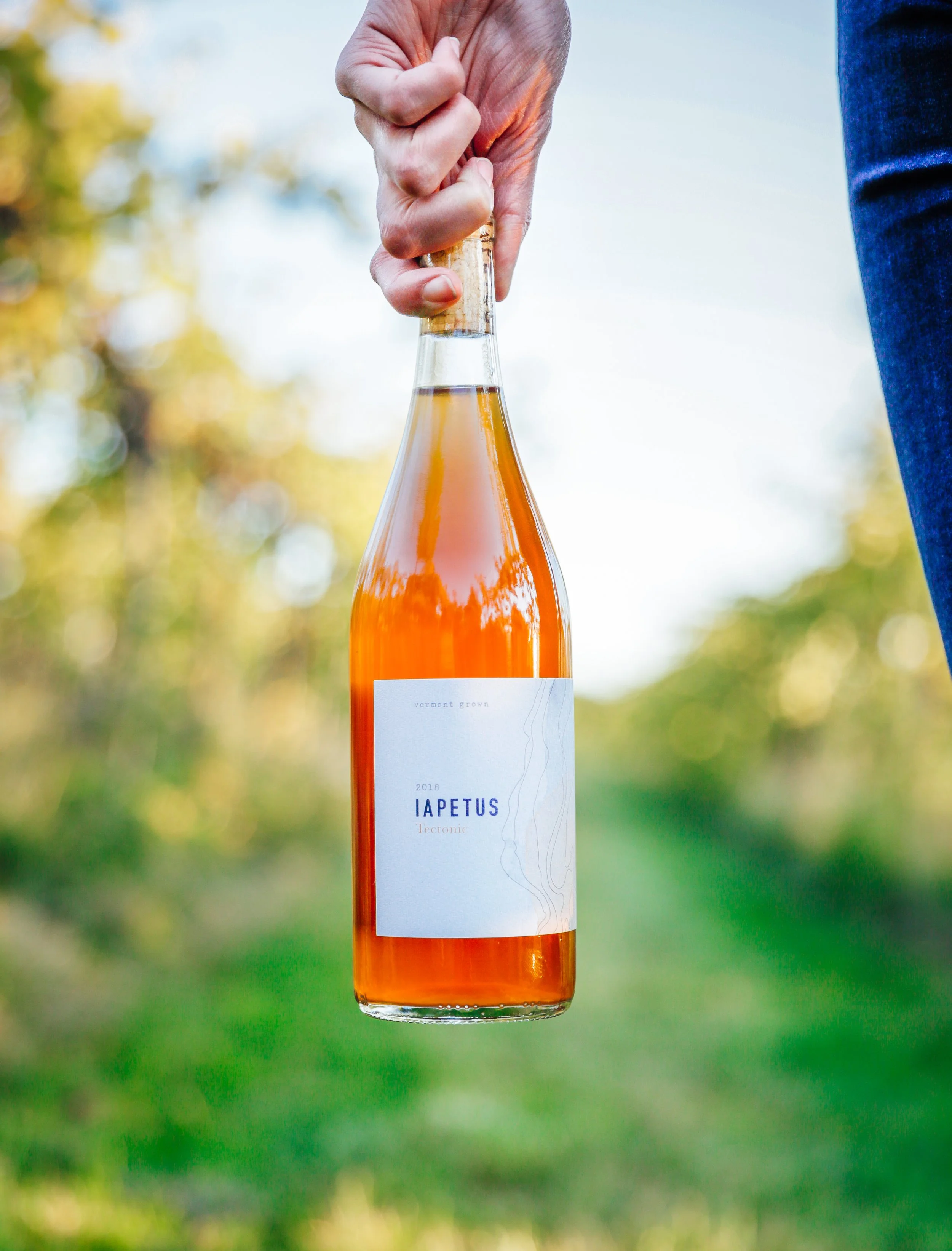 Iapetus Wine - Experimental Vermont Wines