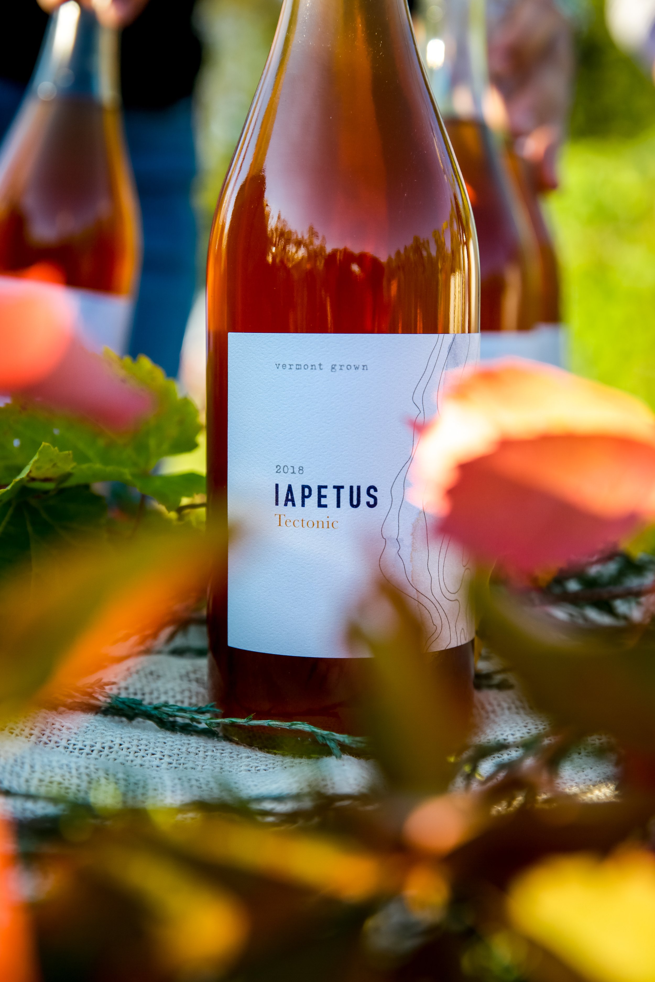 Iapetus Wine - Experimental Vermont Wines