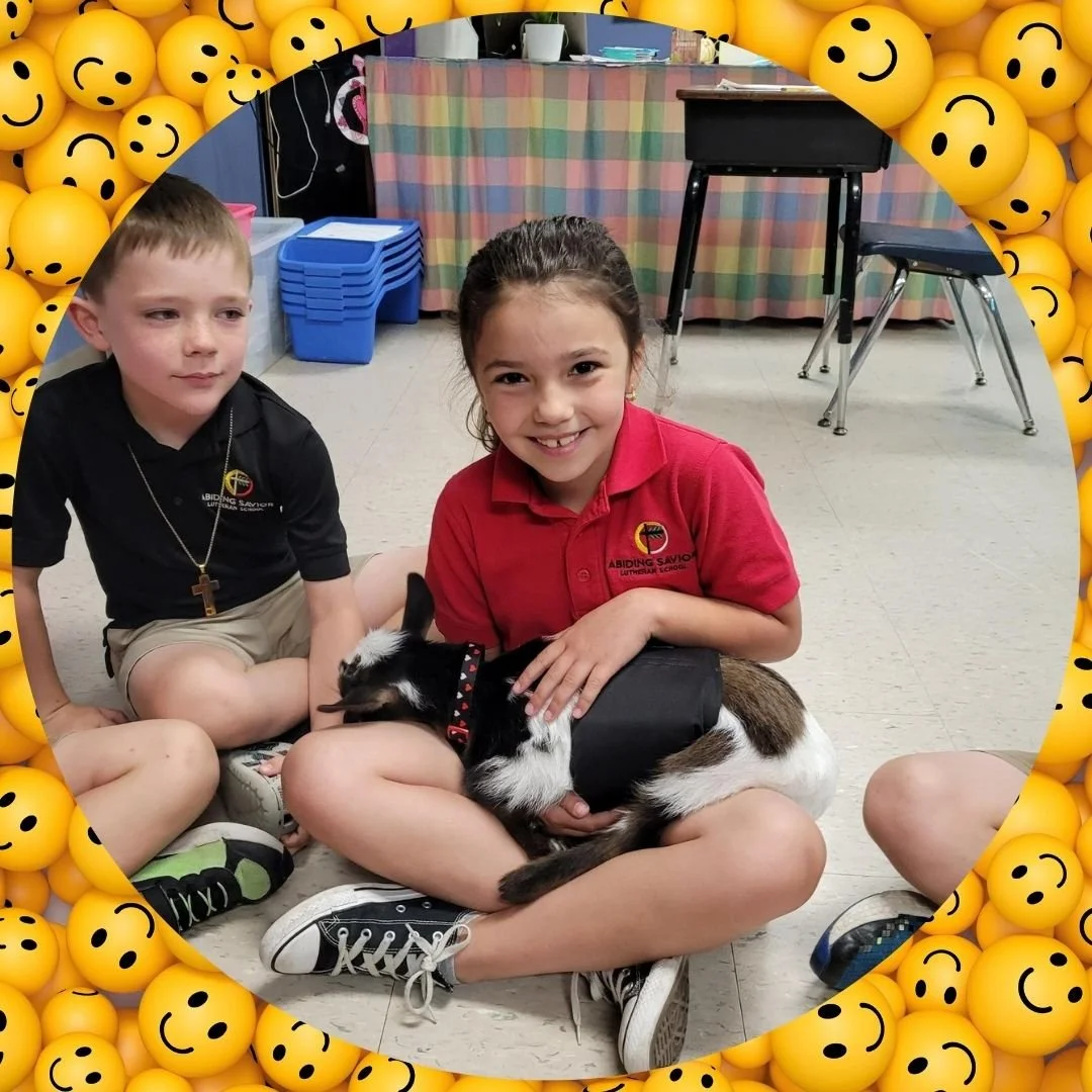 Abiding Savior School