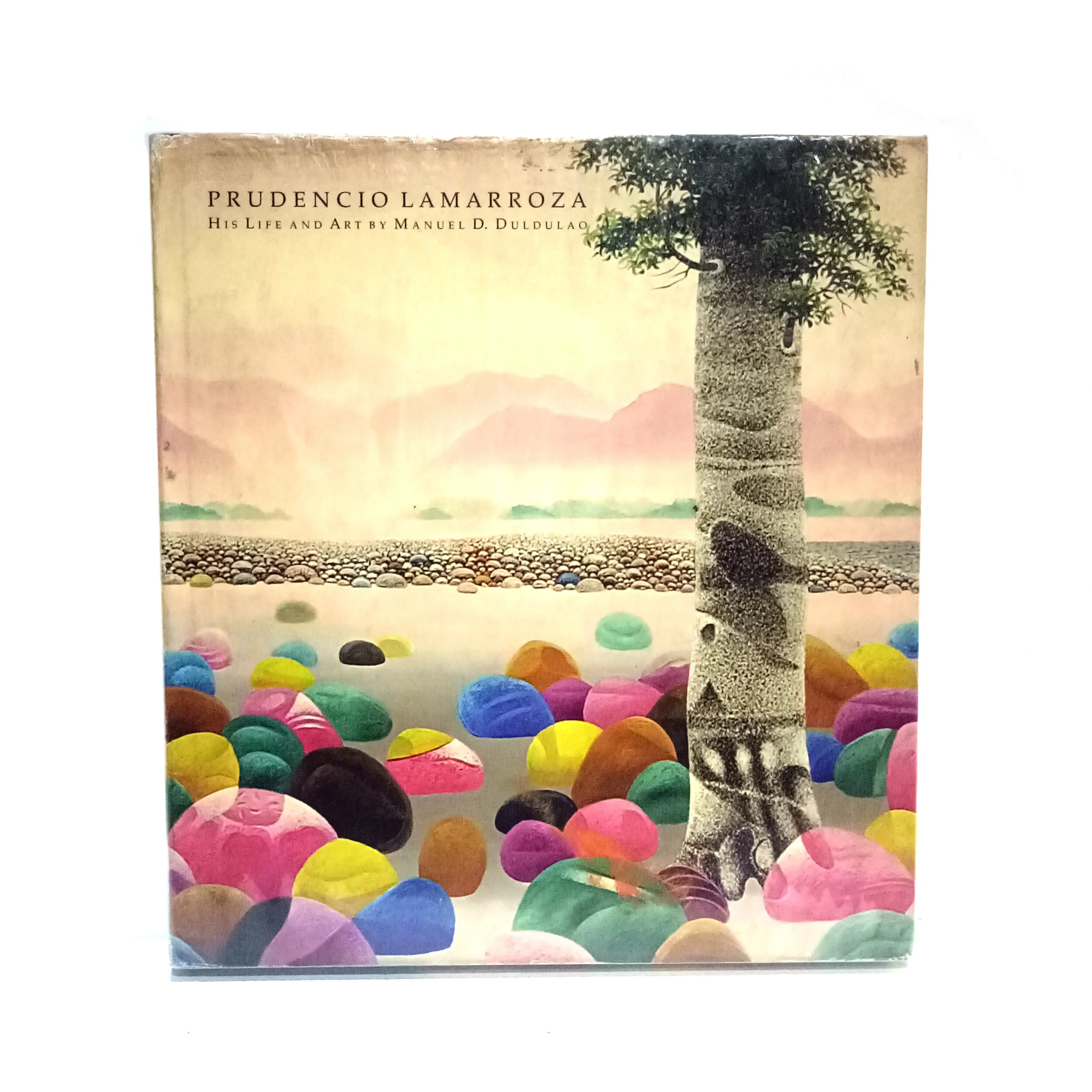 Prudencio Lamarroza Paintings