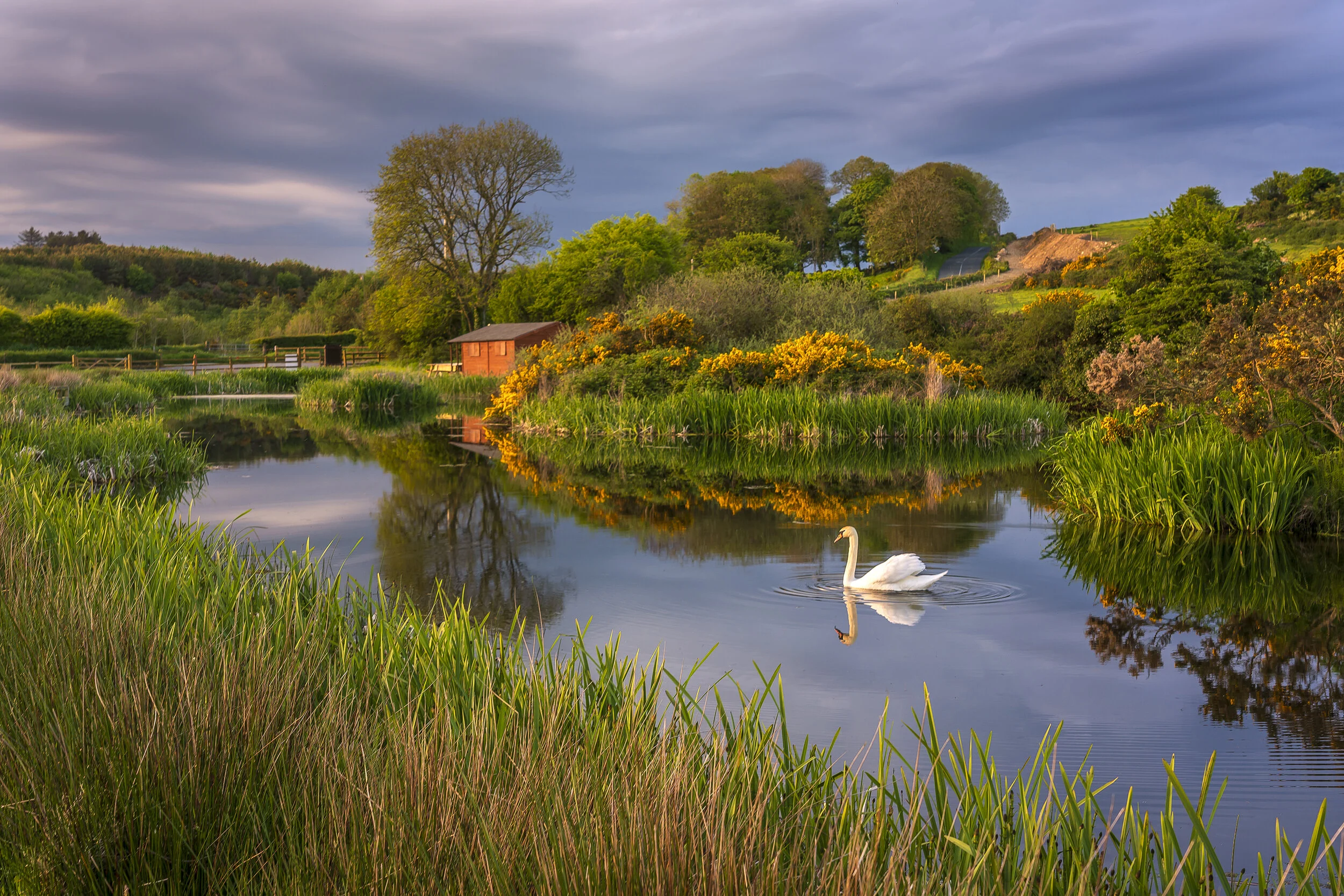 Fergus Cooper Photography