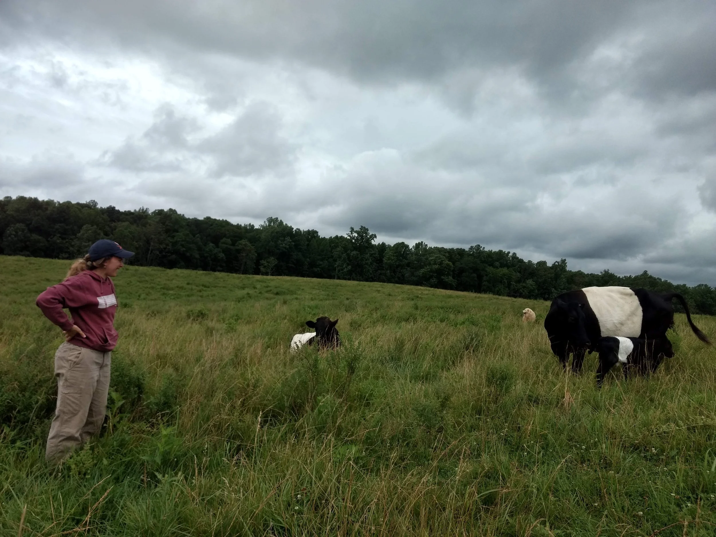 North Sky Farm Regenerative Farming