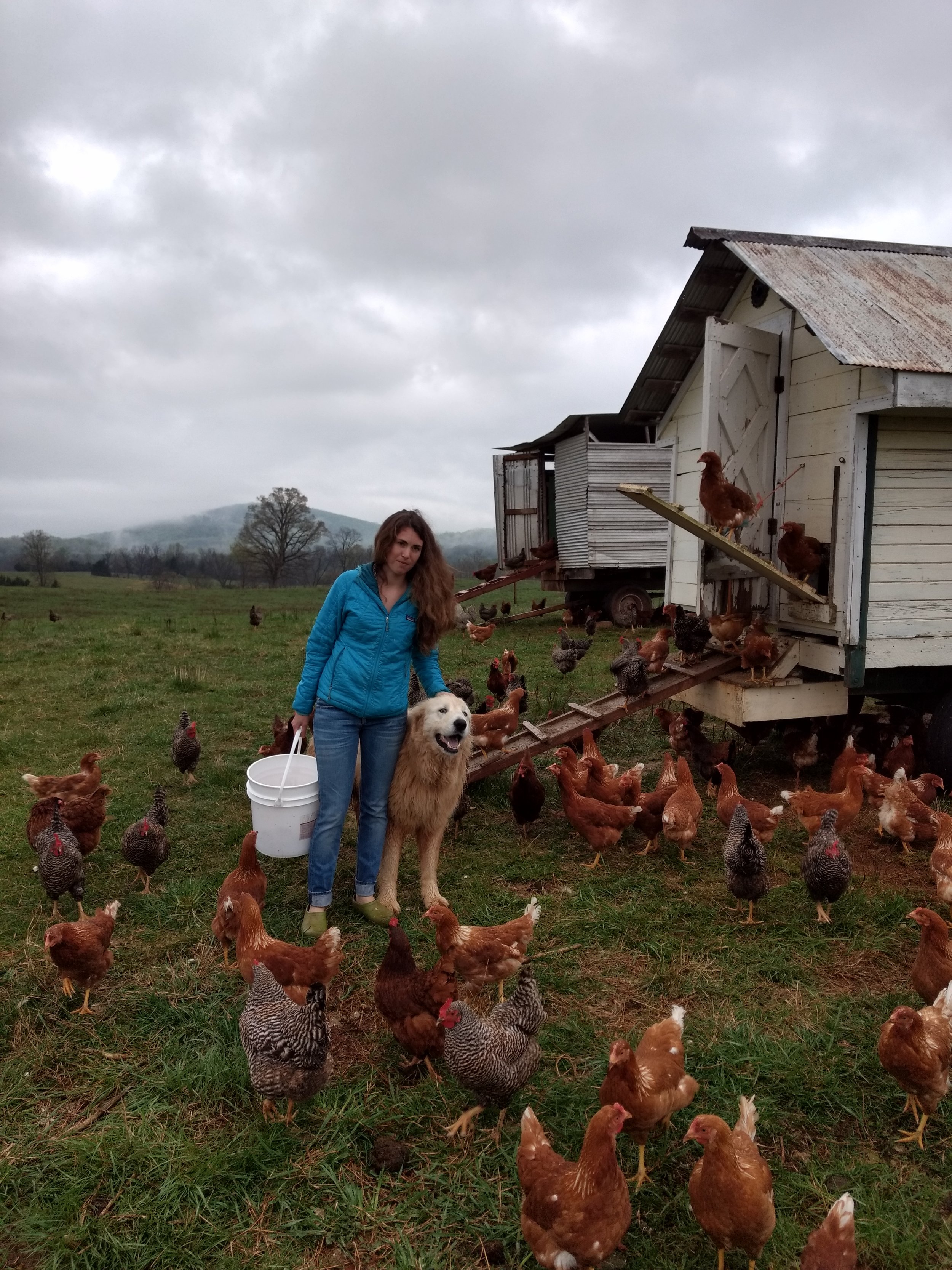 North Sky Farm Regenerative Farming