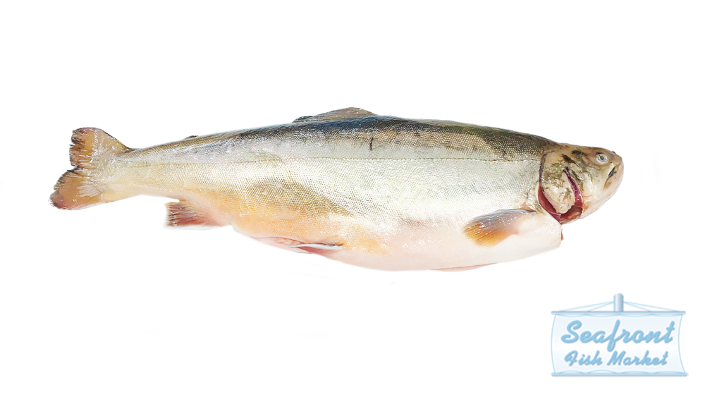 Whole Fish — Seafront Fish Market