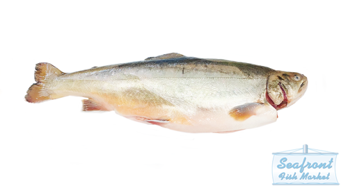 Whole Fish — Seafront Fish Market