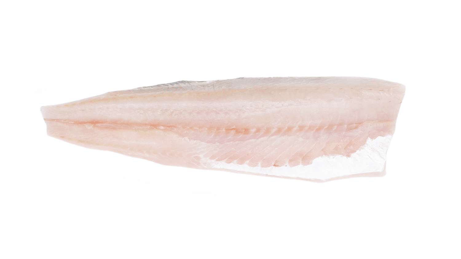 Fillets & Steaks — Seafront Fish Market