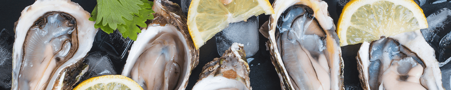 Oysters — Seafront Fish Market