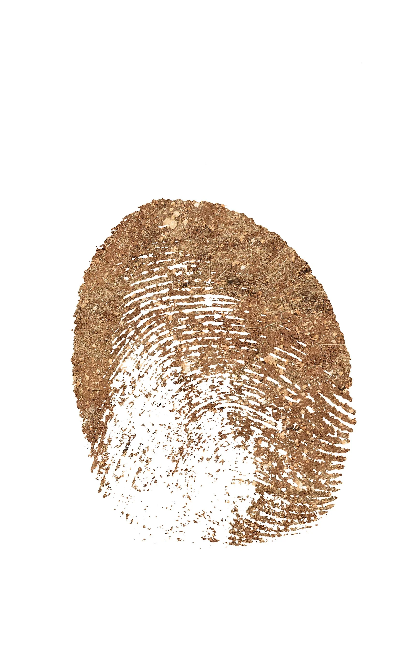 WRIT LARGE — SUSANNE SLAVICK