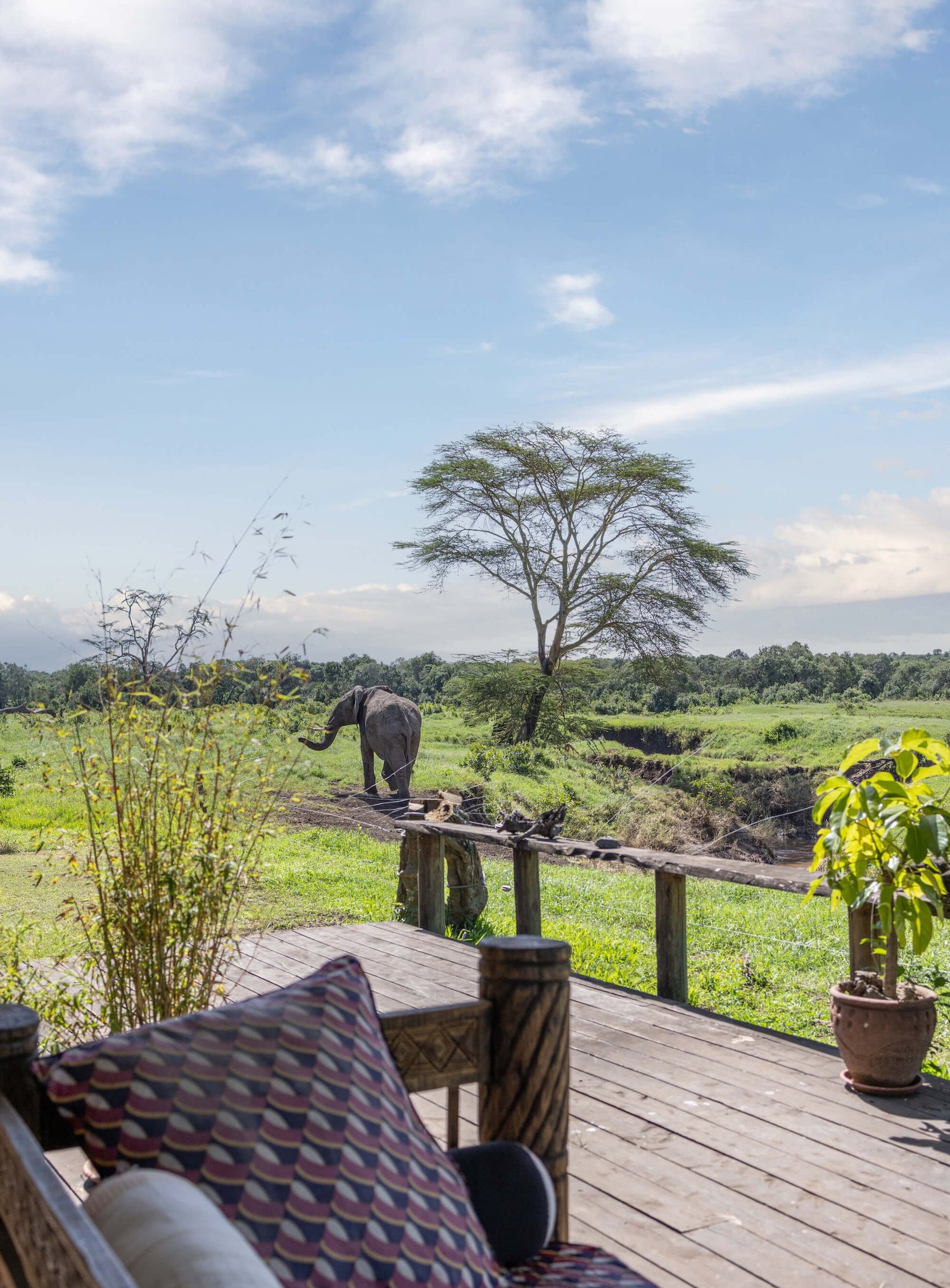 Ol Pejeta Safari Cottages