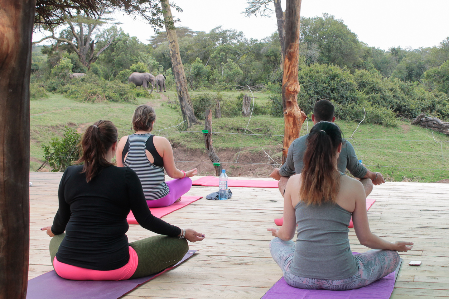 BLOG — Ol Pejeta Safari Cottages
