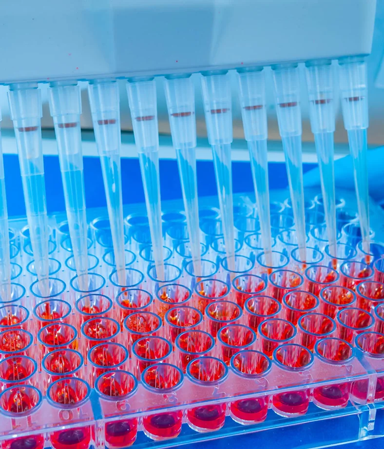 SBB Program — Blood Assurance