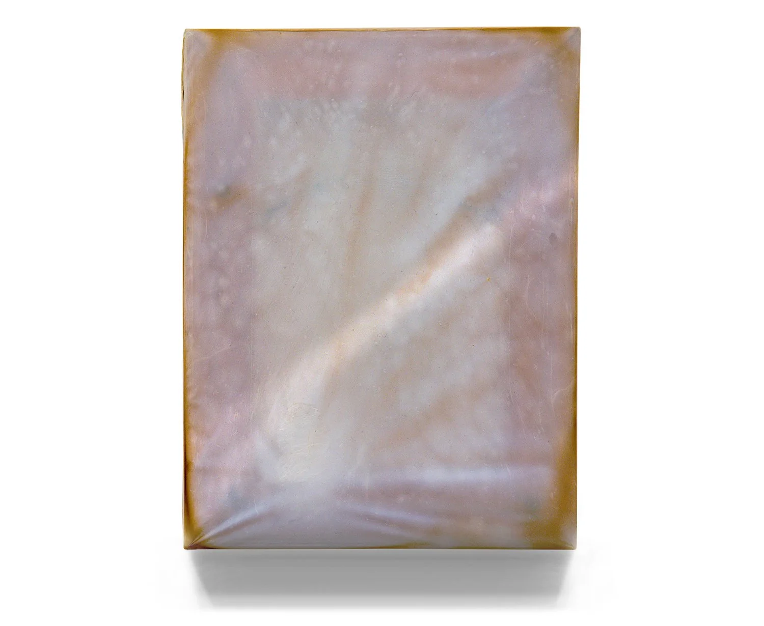 Project Statements: Skins — KATE NICHOLS