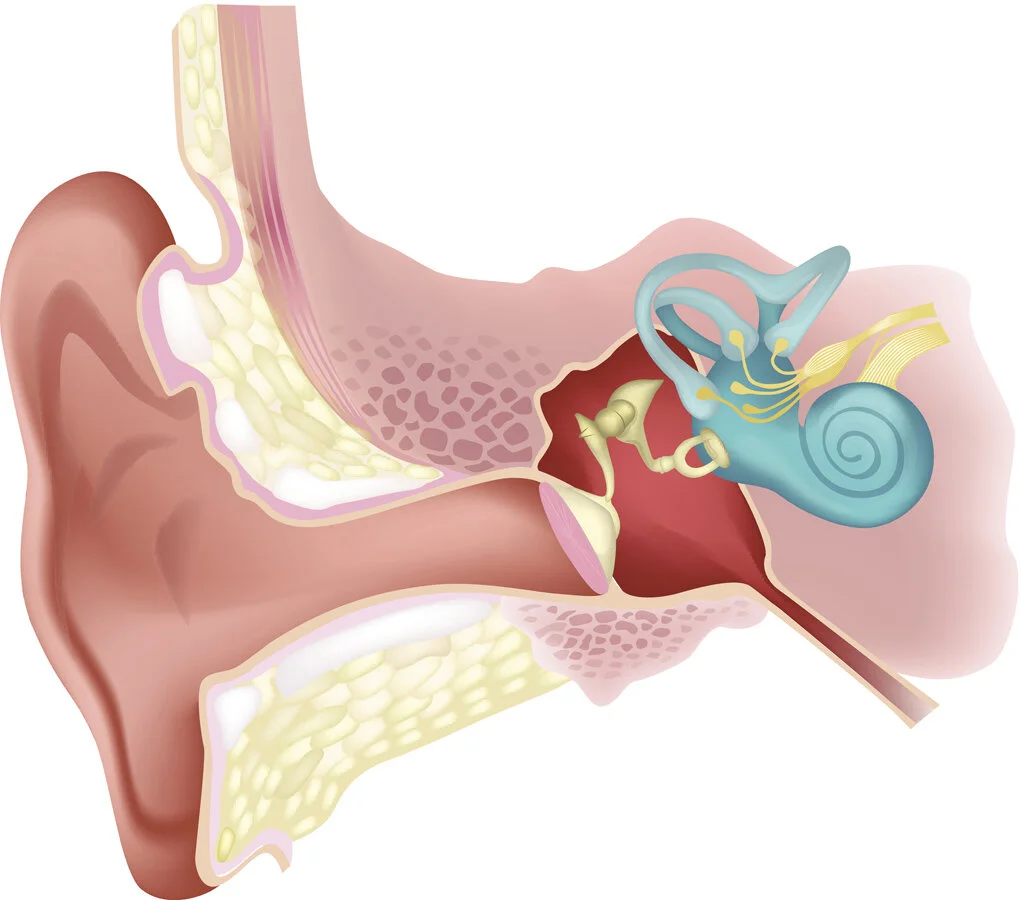 Hart Hearing & Balance