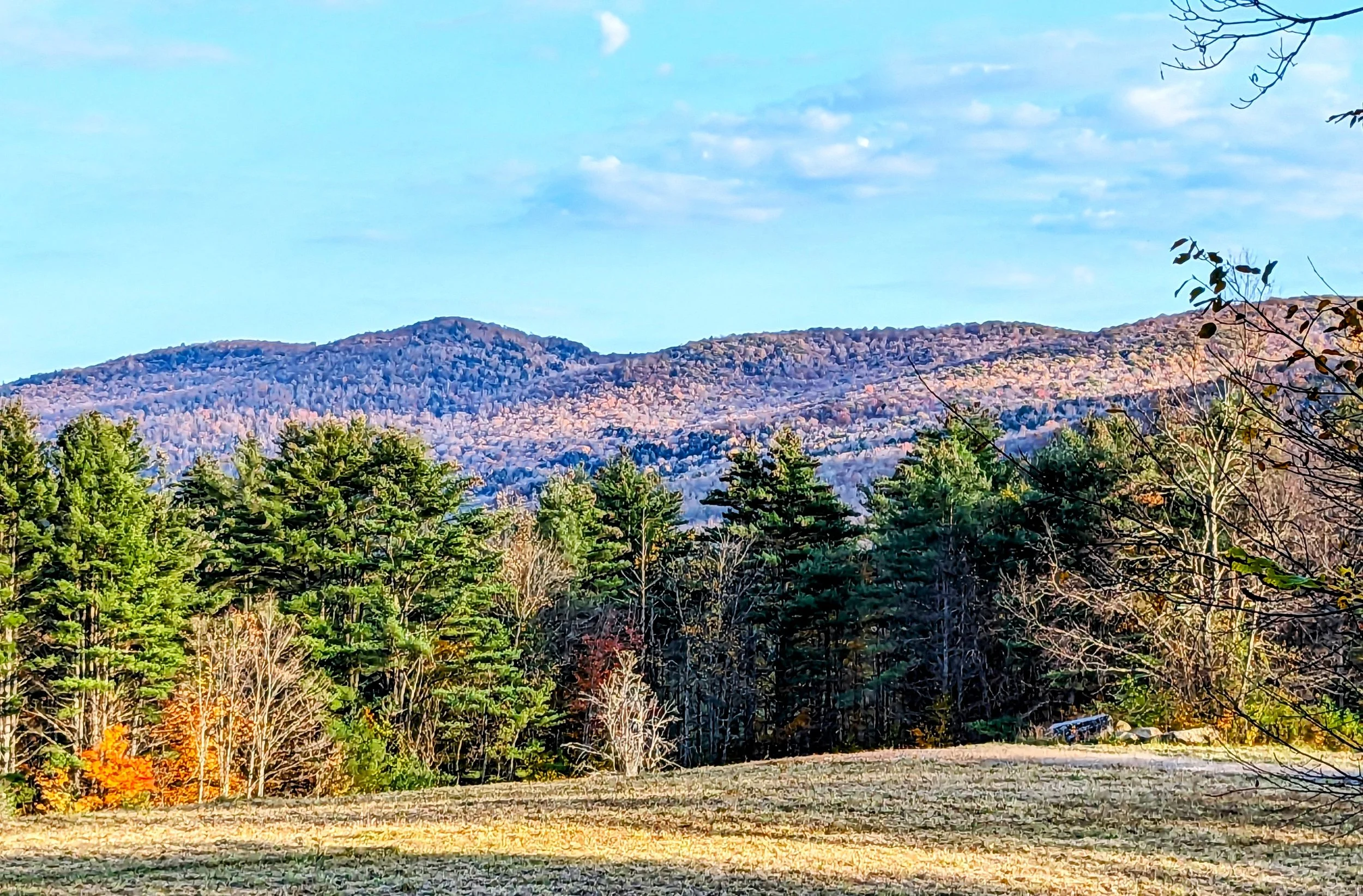 Town of Cavendish, Vermont | Municipal Website of Cavendish, VT