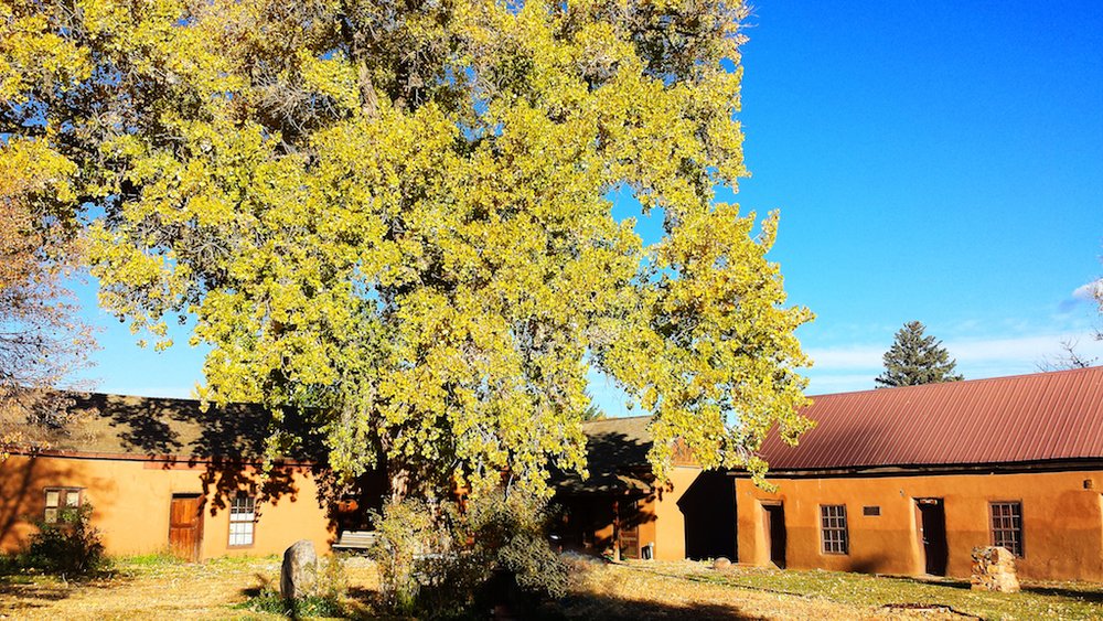 The Fort — Francisco Fort Museum