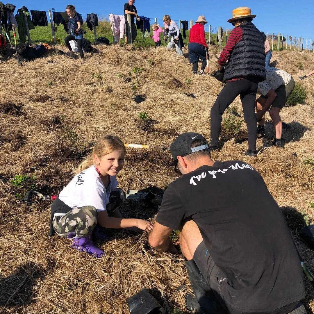 Hire Or Rent A Campervan To Explore New Zealand | Mad Campers