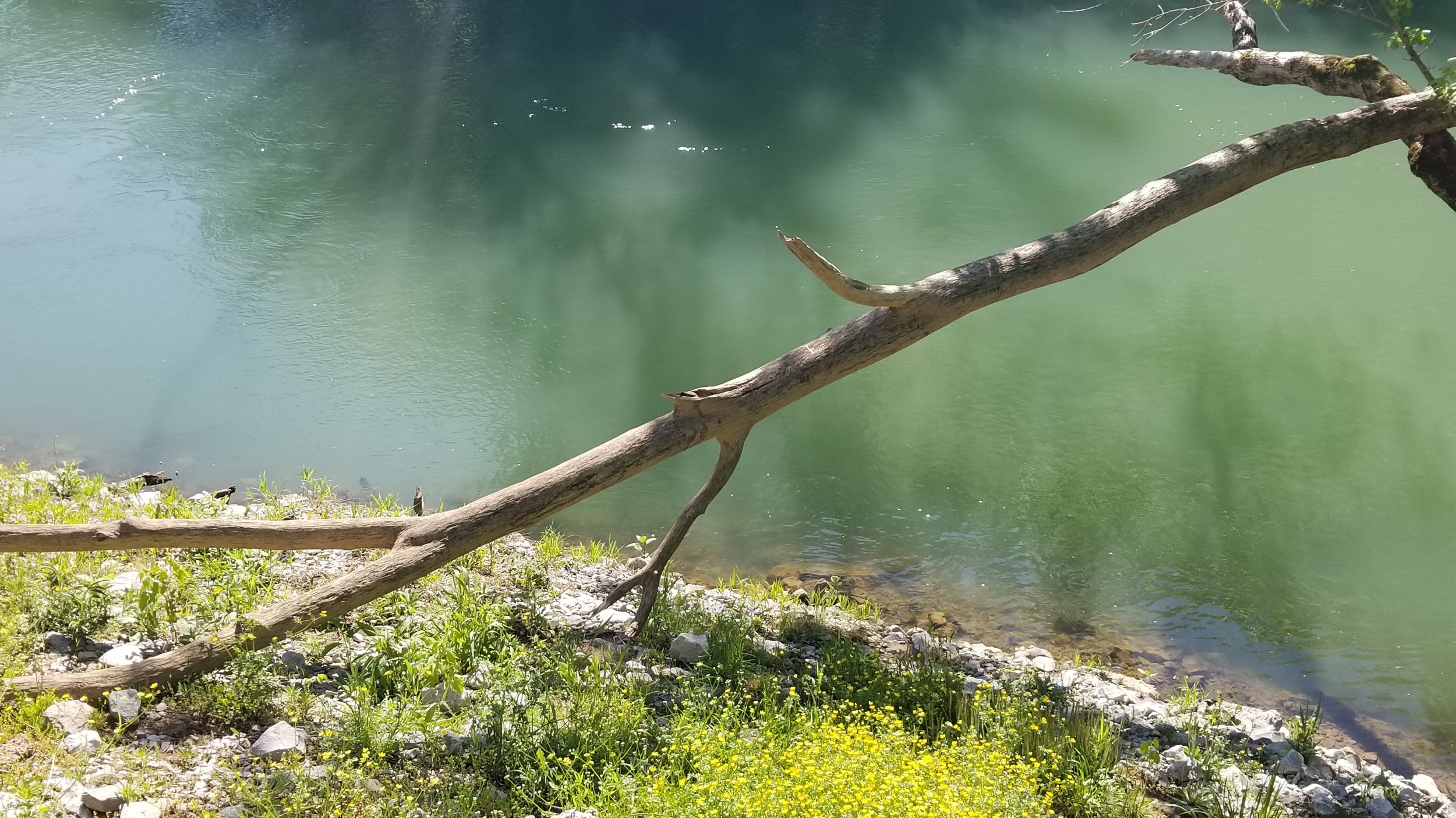 Waterfalls and Wild Rivers in Sparta, Tennessee — knoxroadtripper