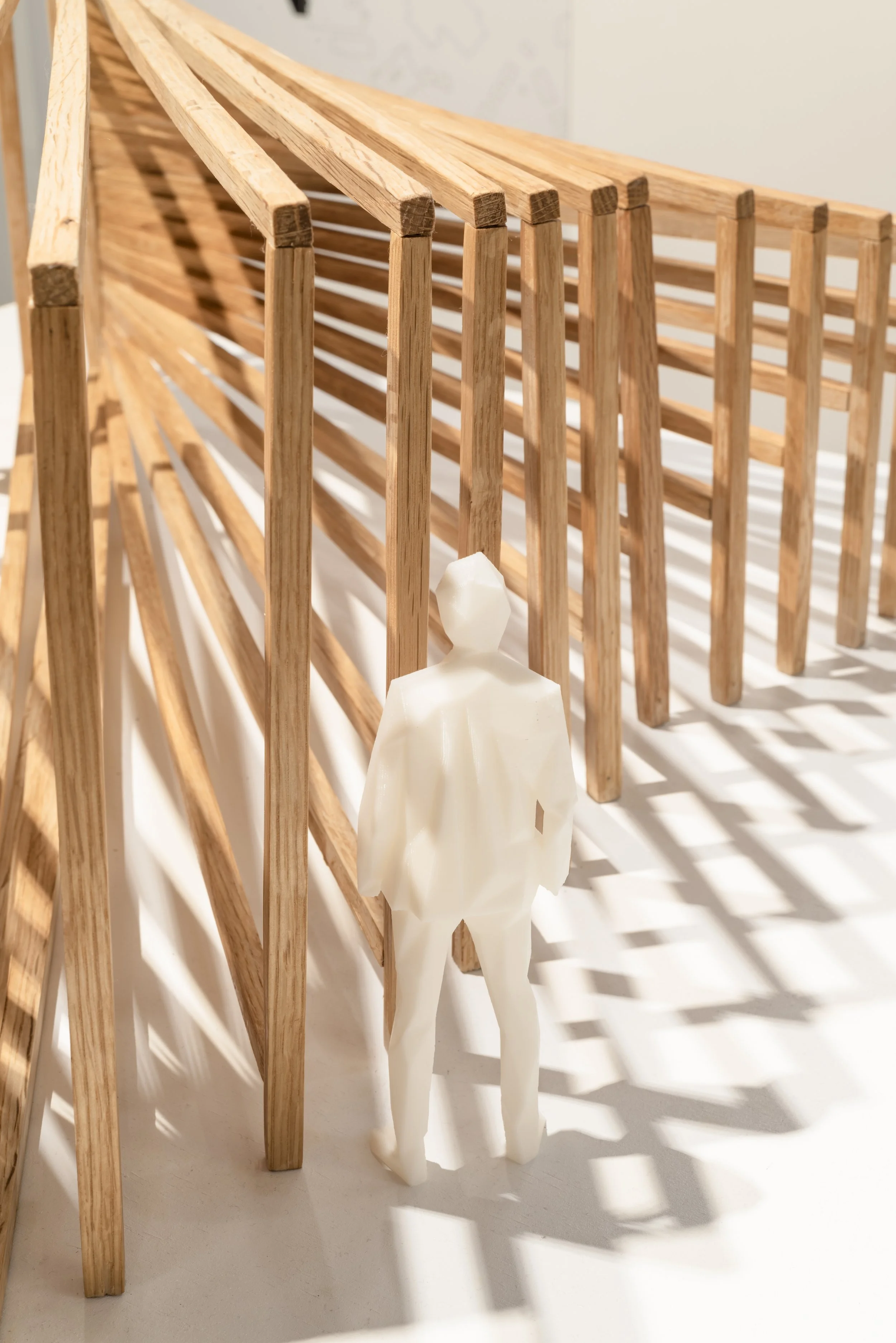 Curvilinear Space — f square studio