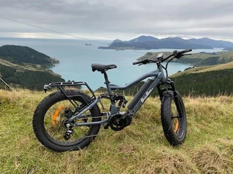 BuzzBike.nz