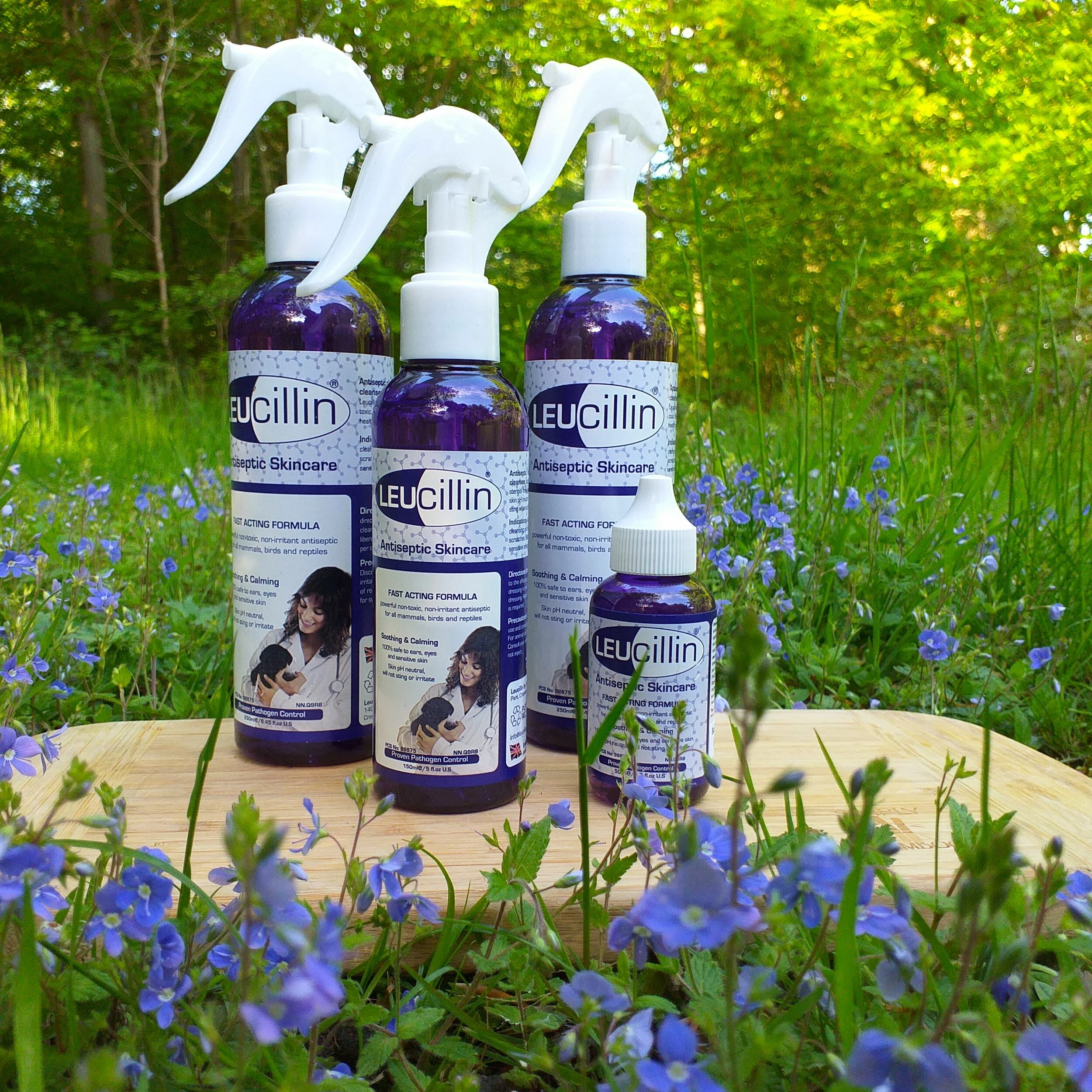 Hedgerow Hounds | Holistic Dog Care Products
