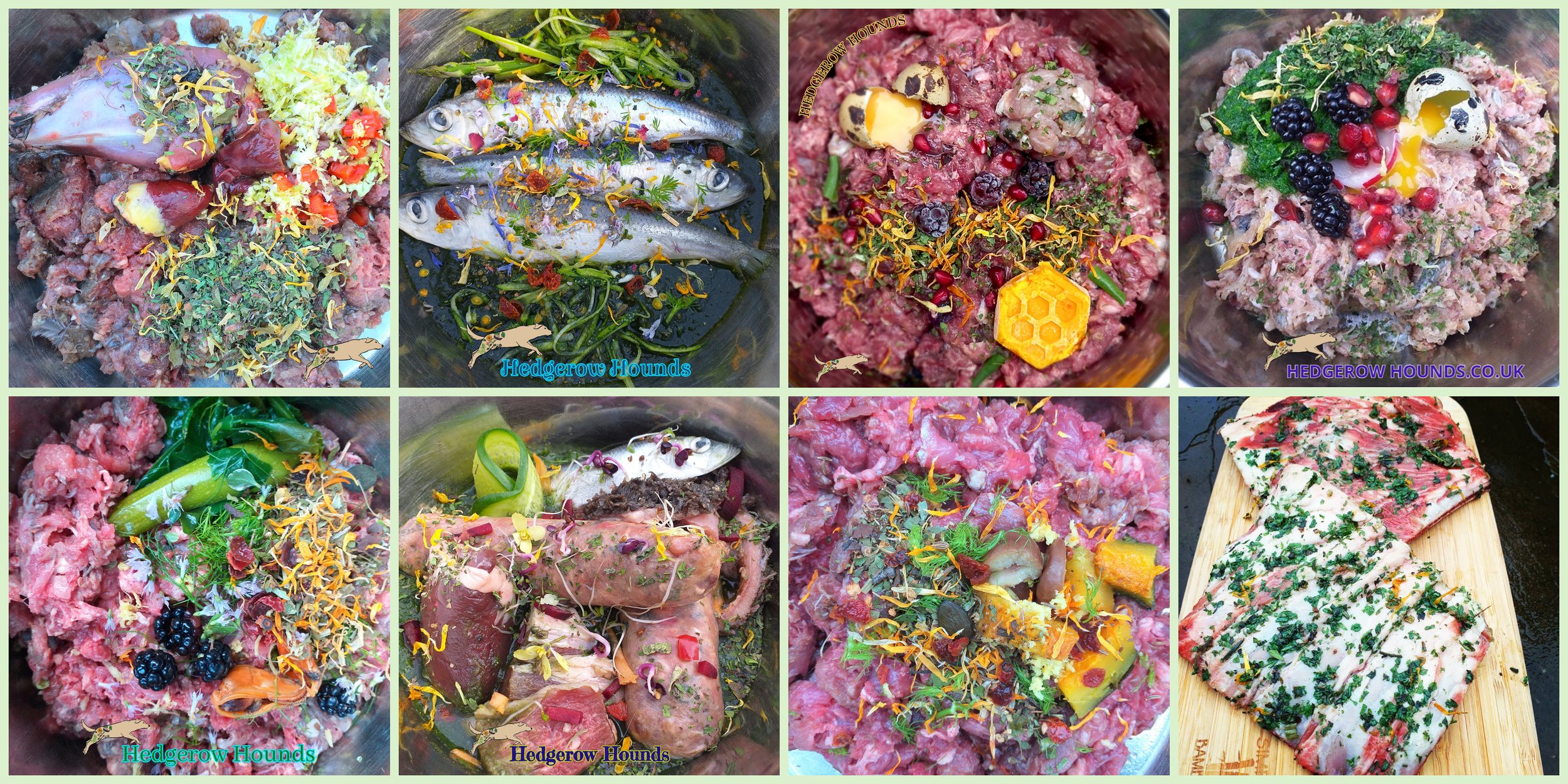 How to feed Raw Dog Food — Hedgerow Hounds | Holistic Dog Care Products