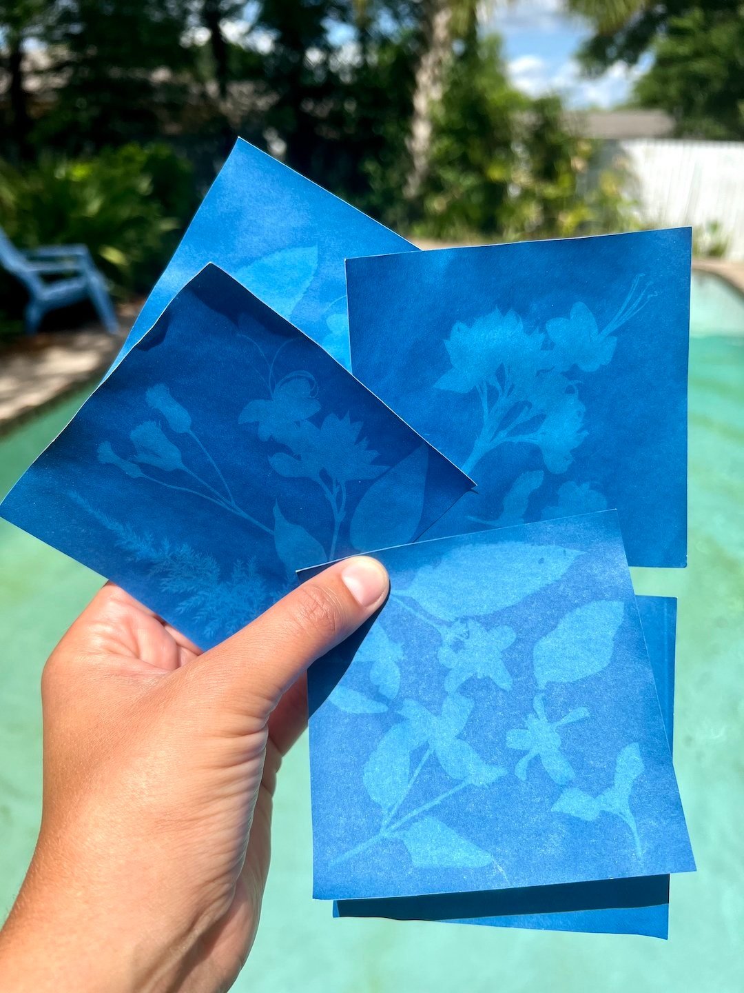 Capture The Sun Make Your Own DIY Cyanotype Prints Lily Wanderlust