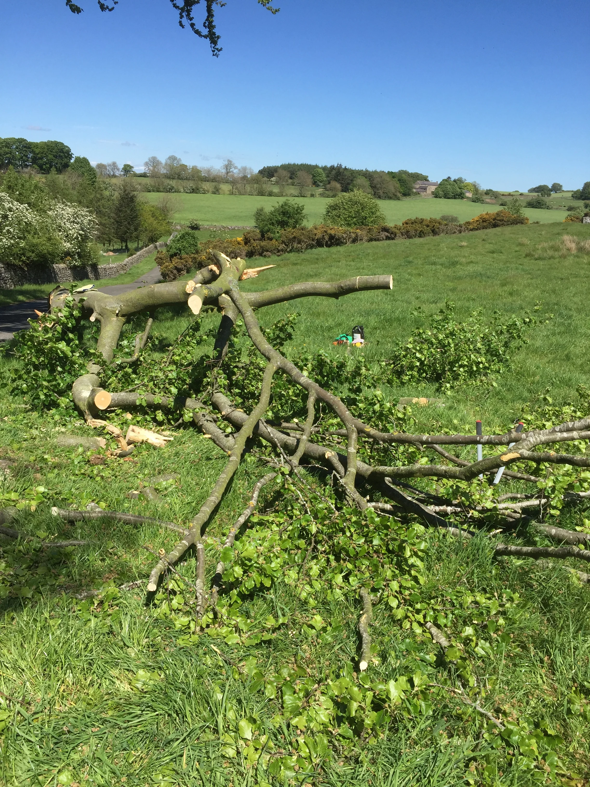 May - be... — Liddells