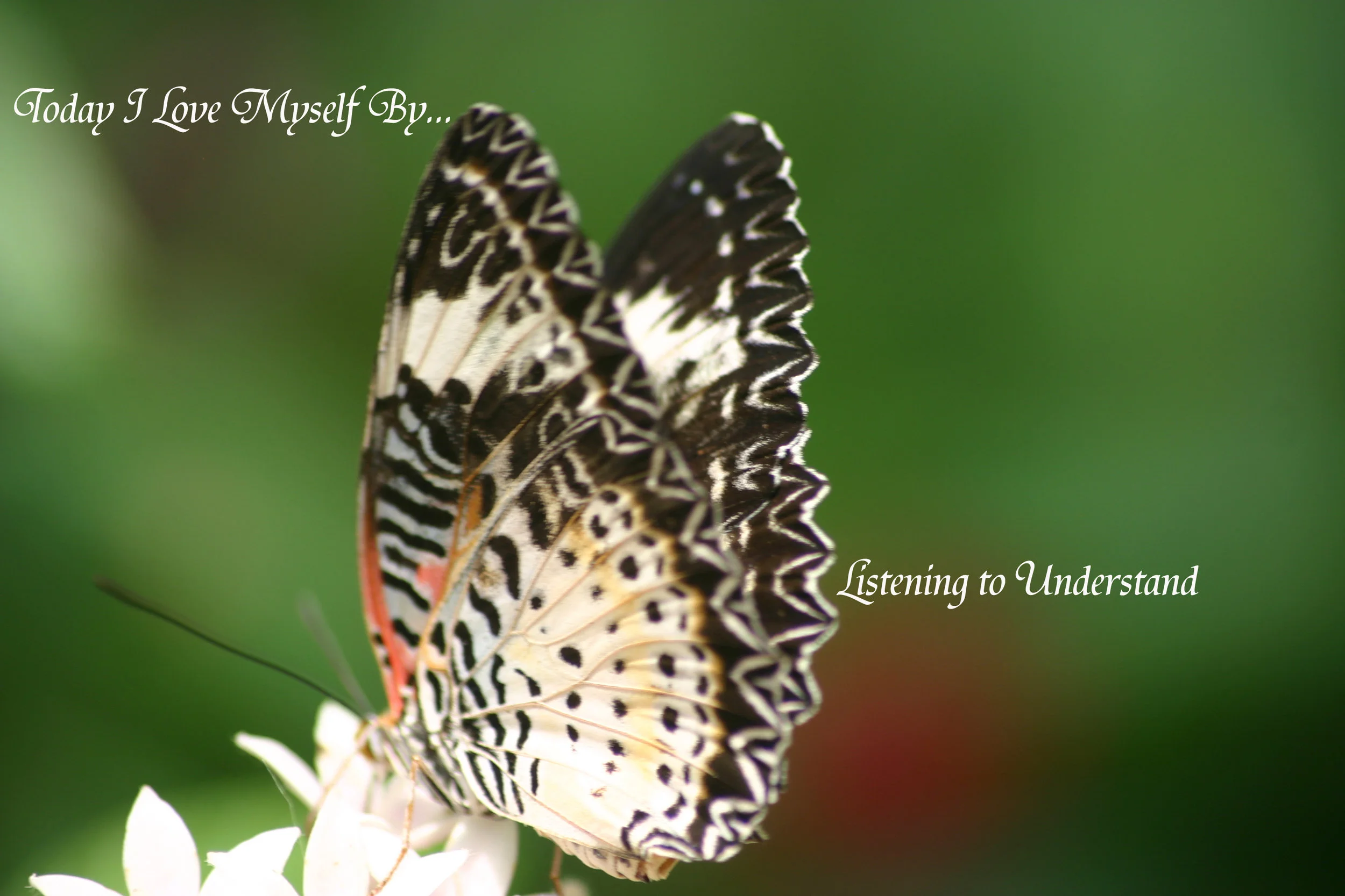 About — MaD Miracles