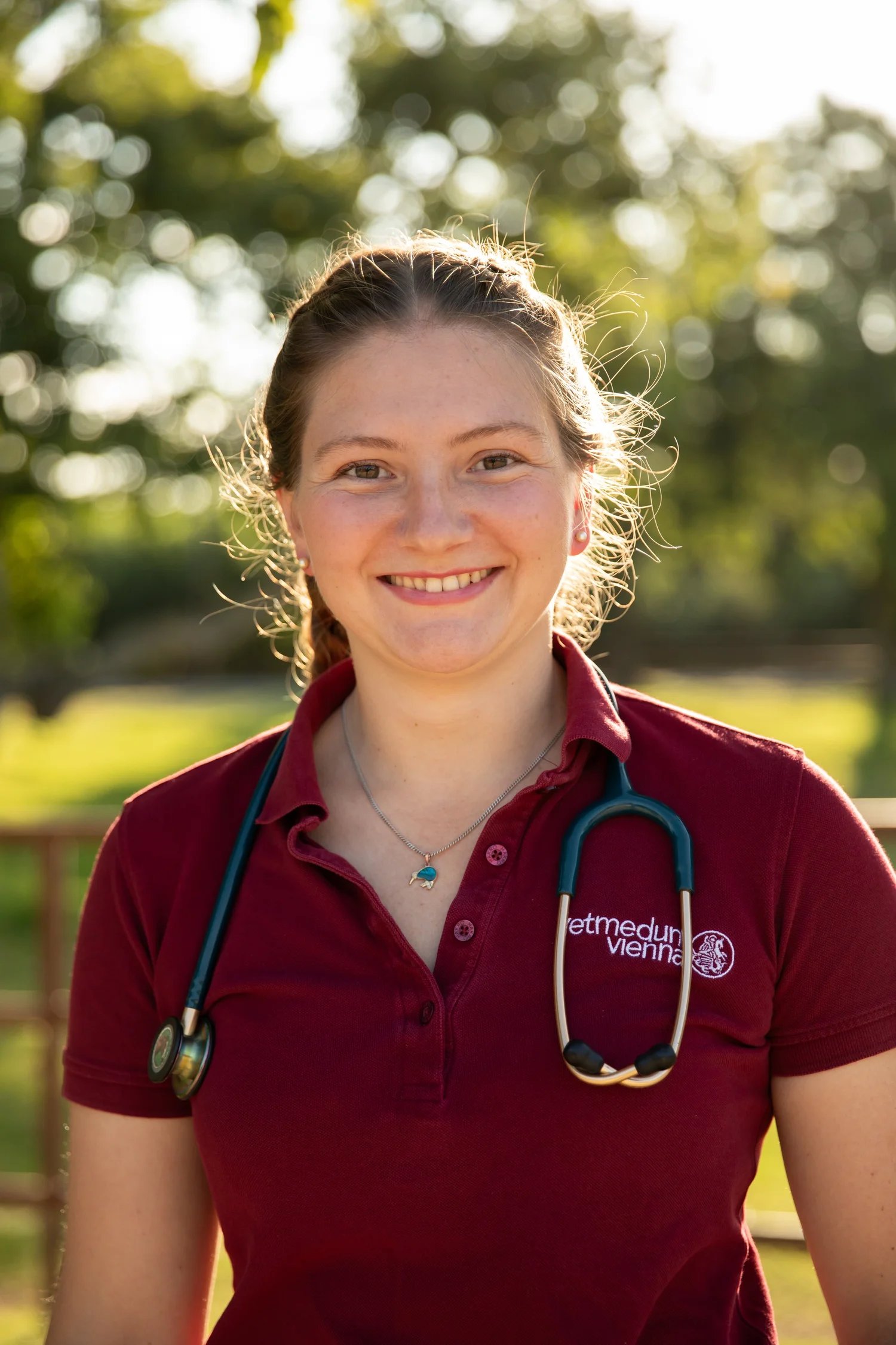 Our Team — Alamo Pintado Equine Medical Center