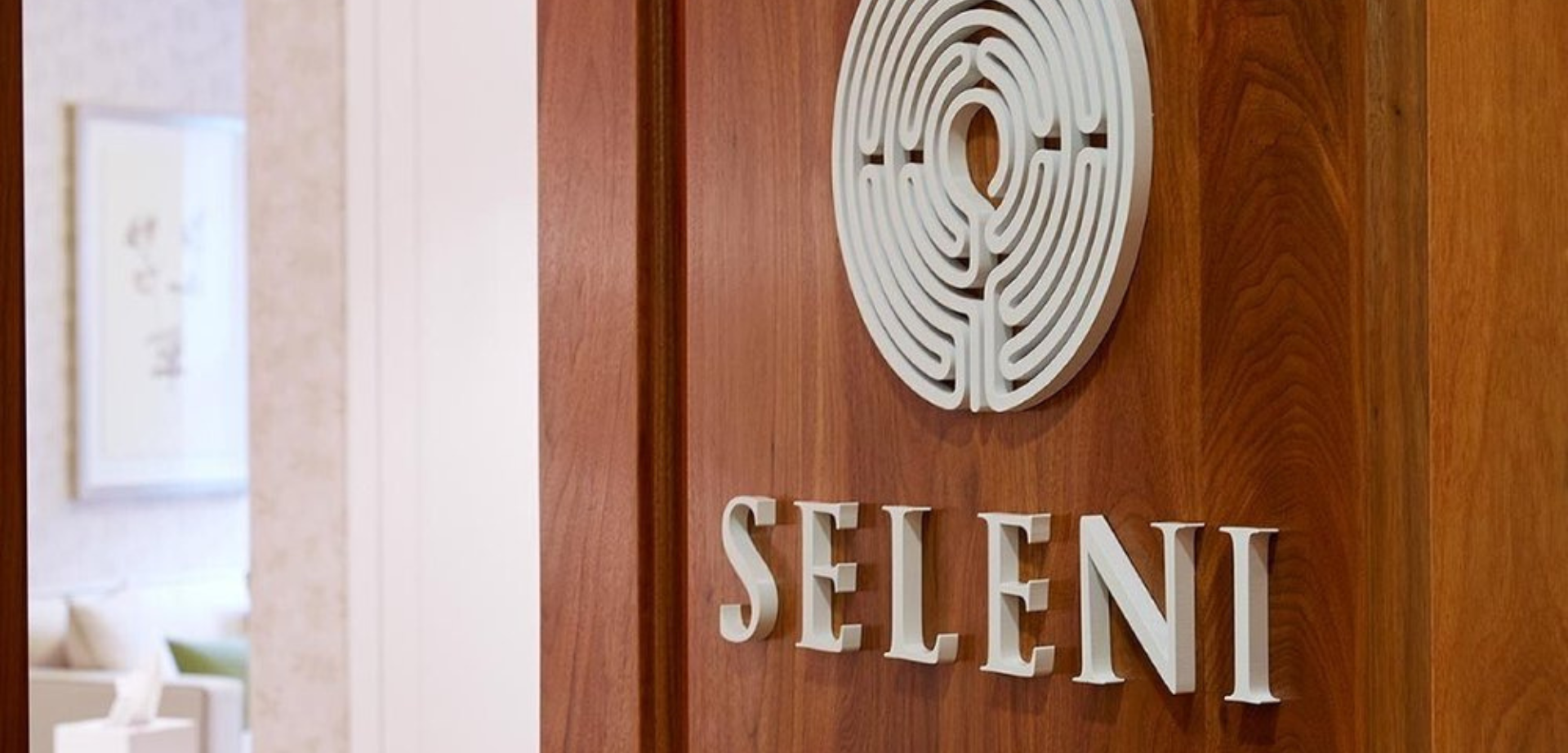 What We Do — Seleni Institute