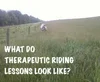 What Do Therapeutic Riding Lessons Look Like?