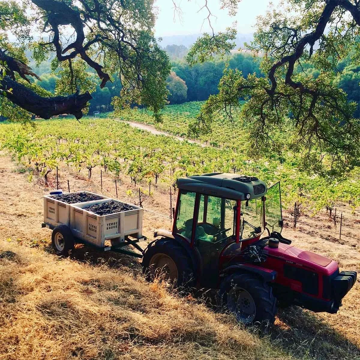 Wine Tastings — Domaine South