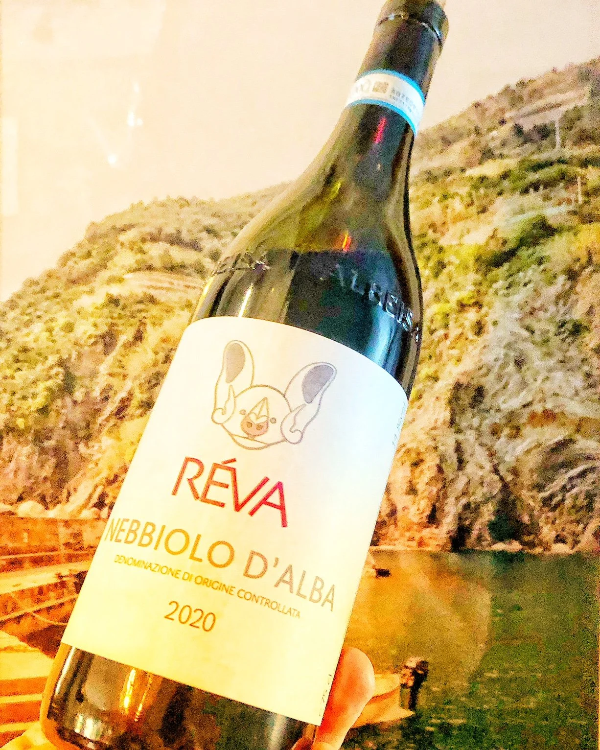 Wine Tastings — Domaine South