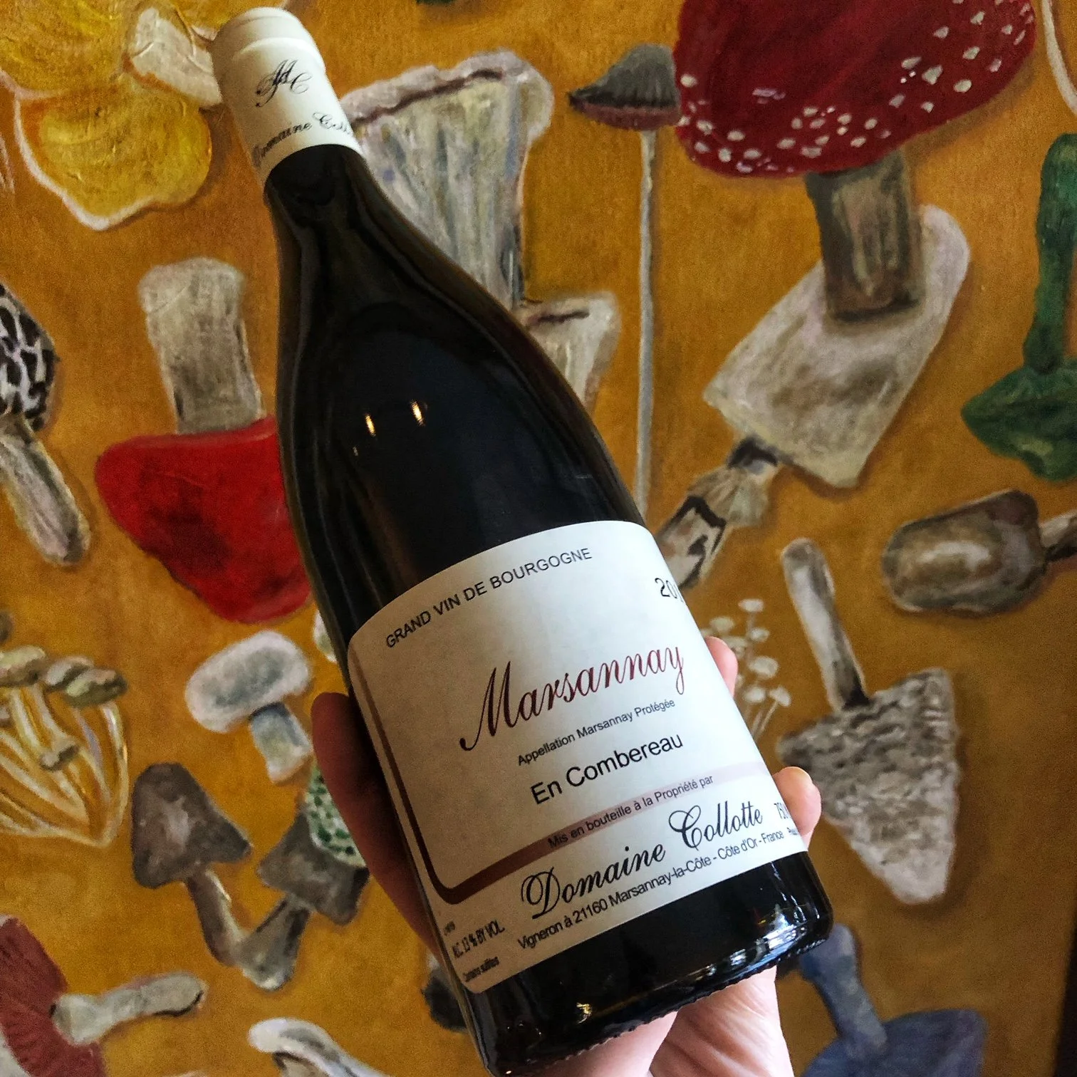 Wine Tastings — Domaine South