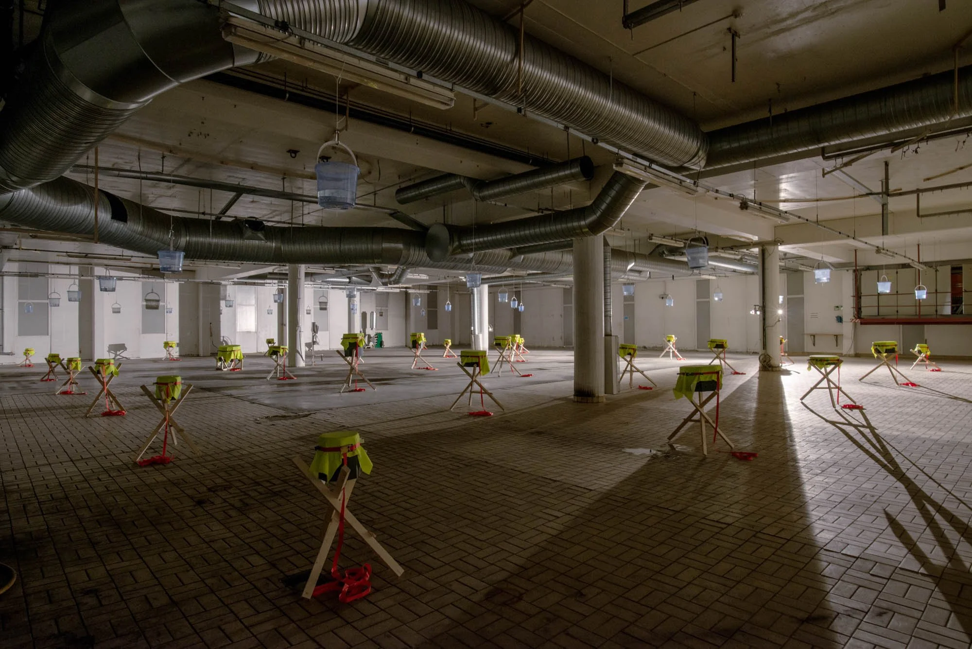 Drypp, drønn og drømmer — Hakapik