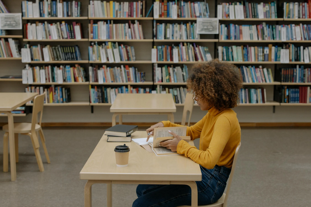 What Creative School Students Need to Know About Minoring in University ...