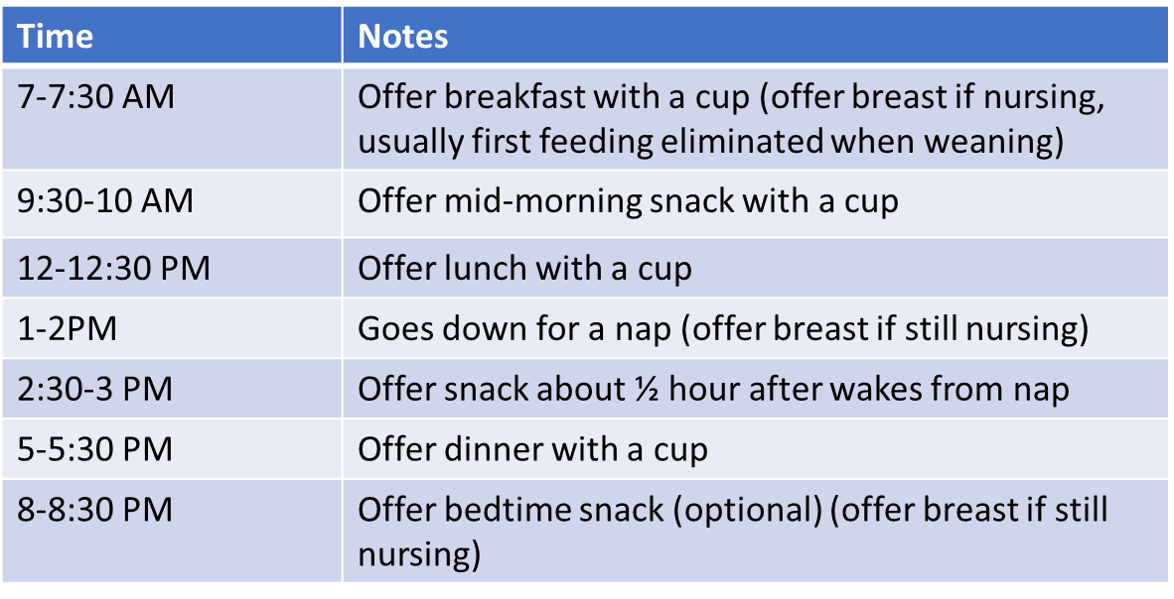 Feeding Schedule For Toddler Nutrition Guide Megan Boitano Nutrition Feeding Schedule For Toddler Nutrition Guide Megan Boitano Nutrition