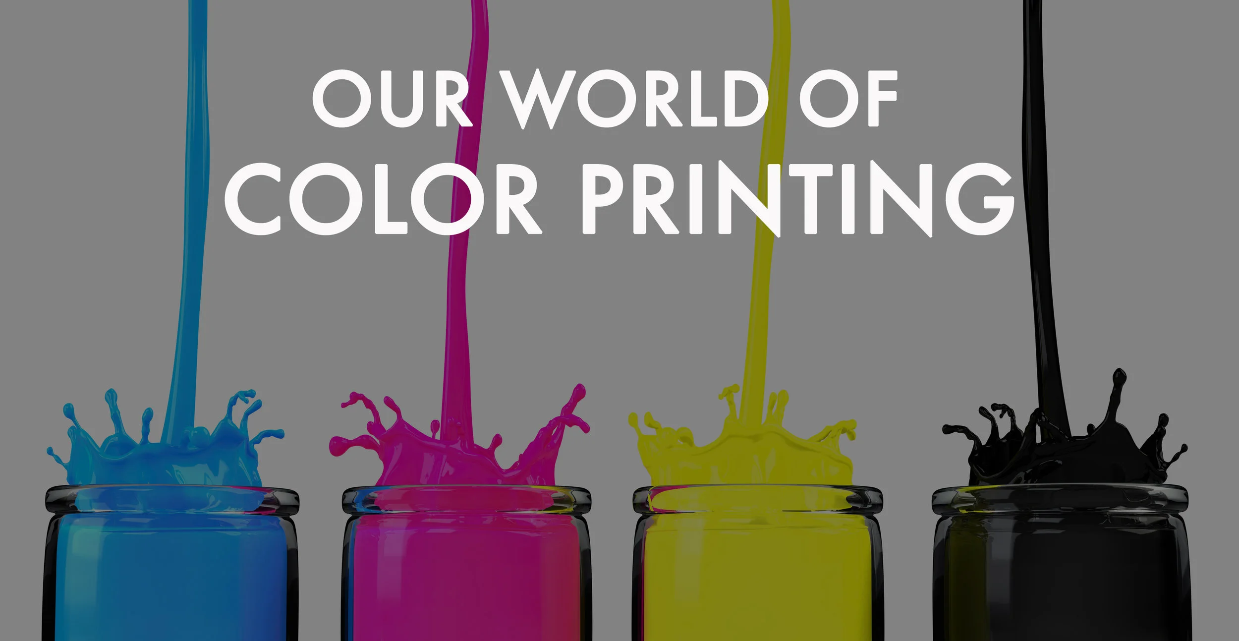 Digital Prints and Imaging